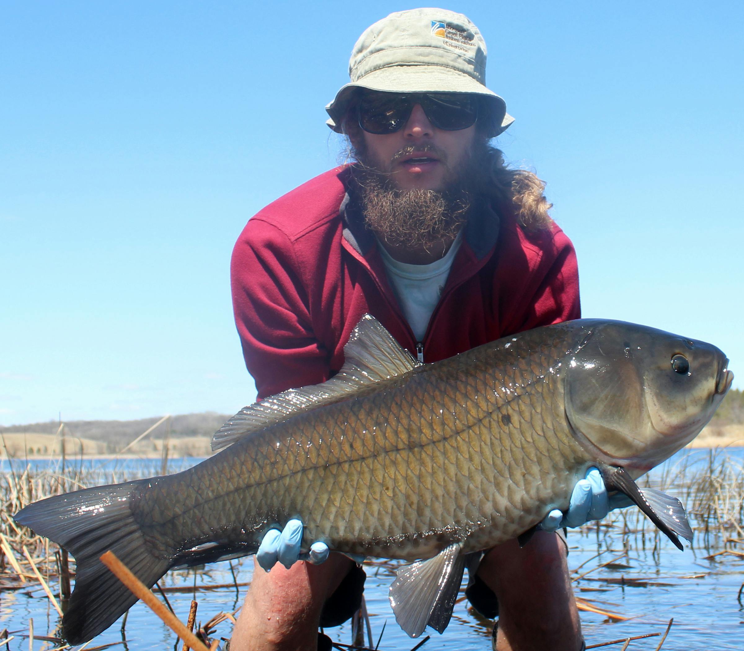 Record catch: At 112 years, Minnesota fish is the oldest freshwater ...