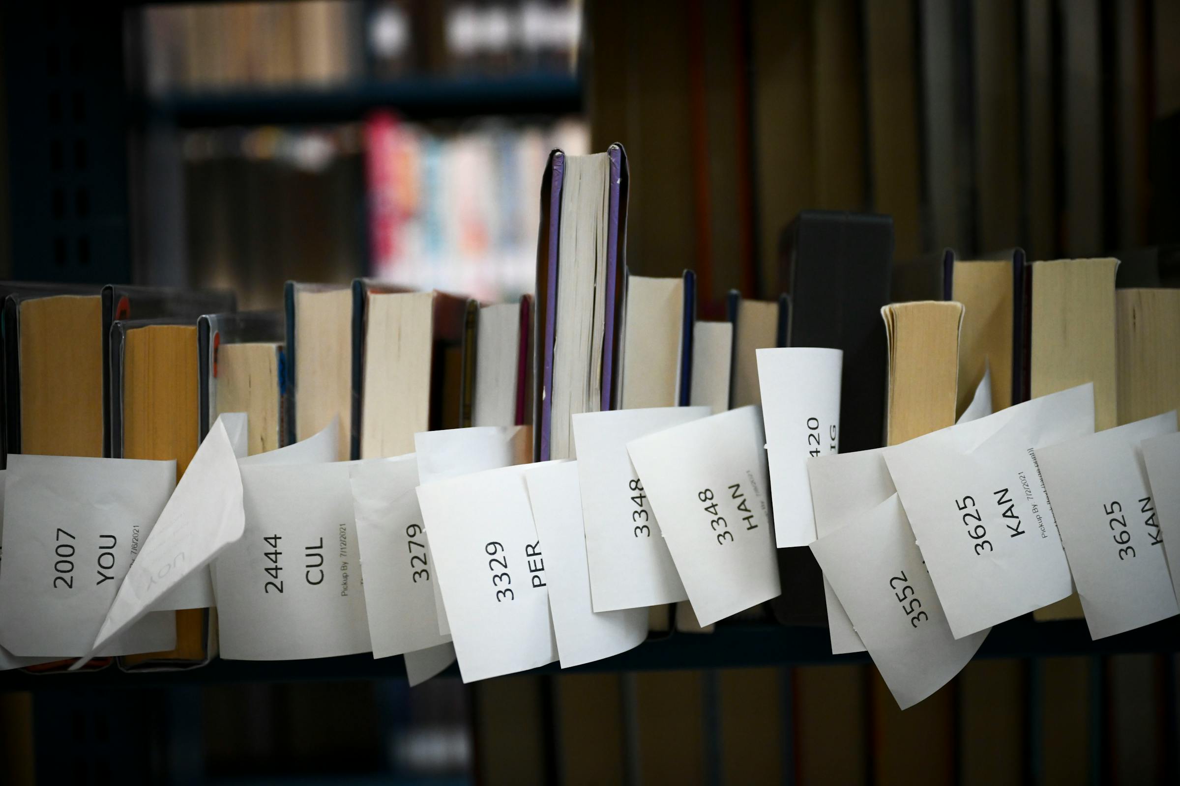 Dakota County eliminates library late fees