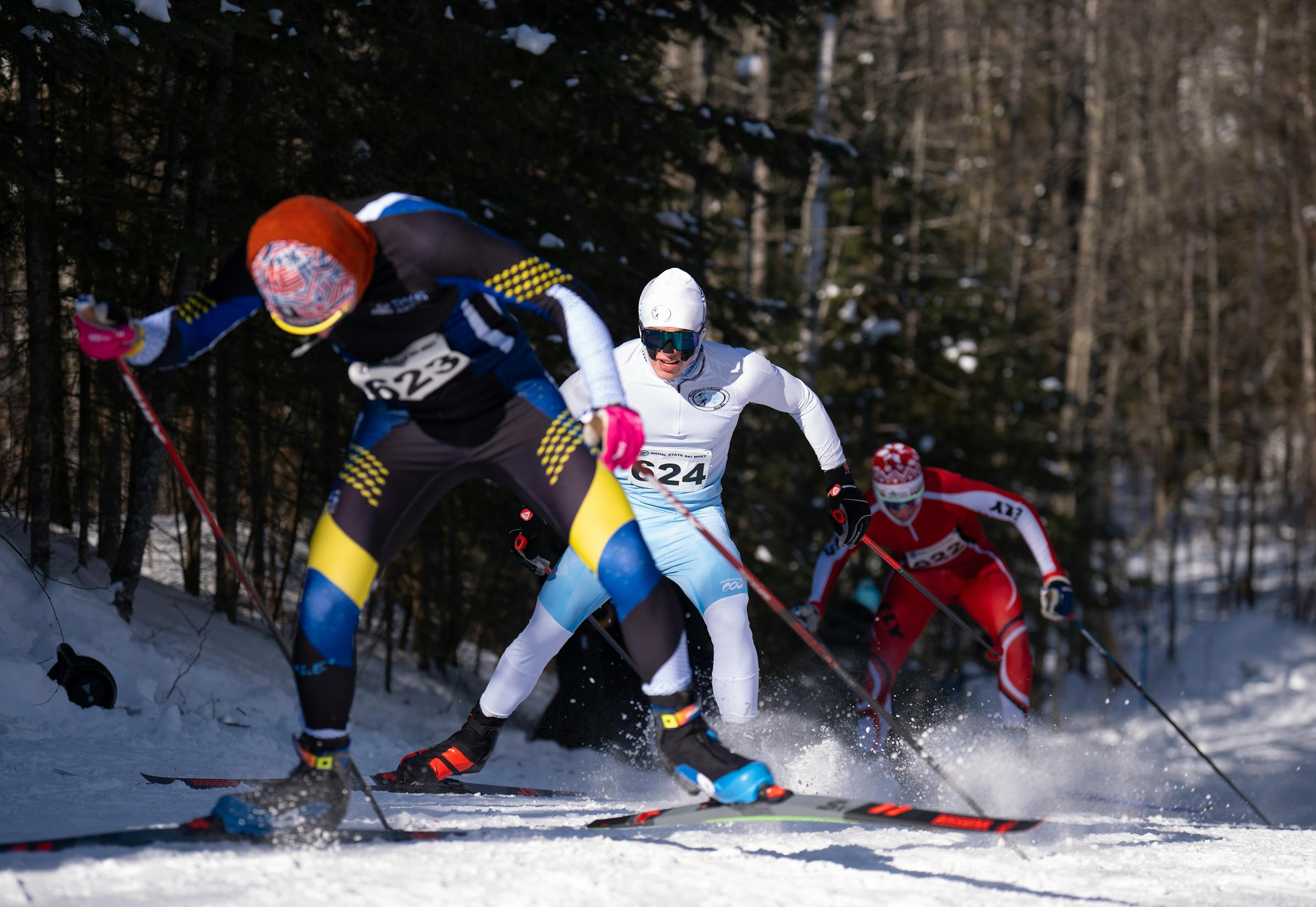 MN boys Nordic skiing state and individual