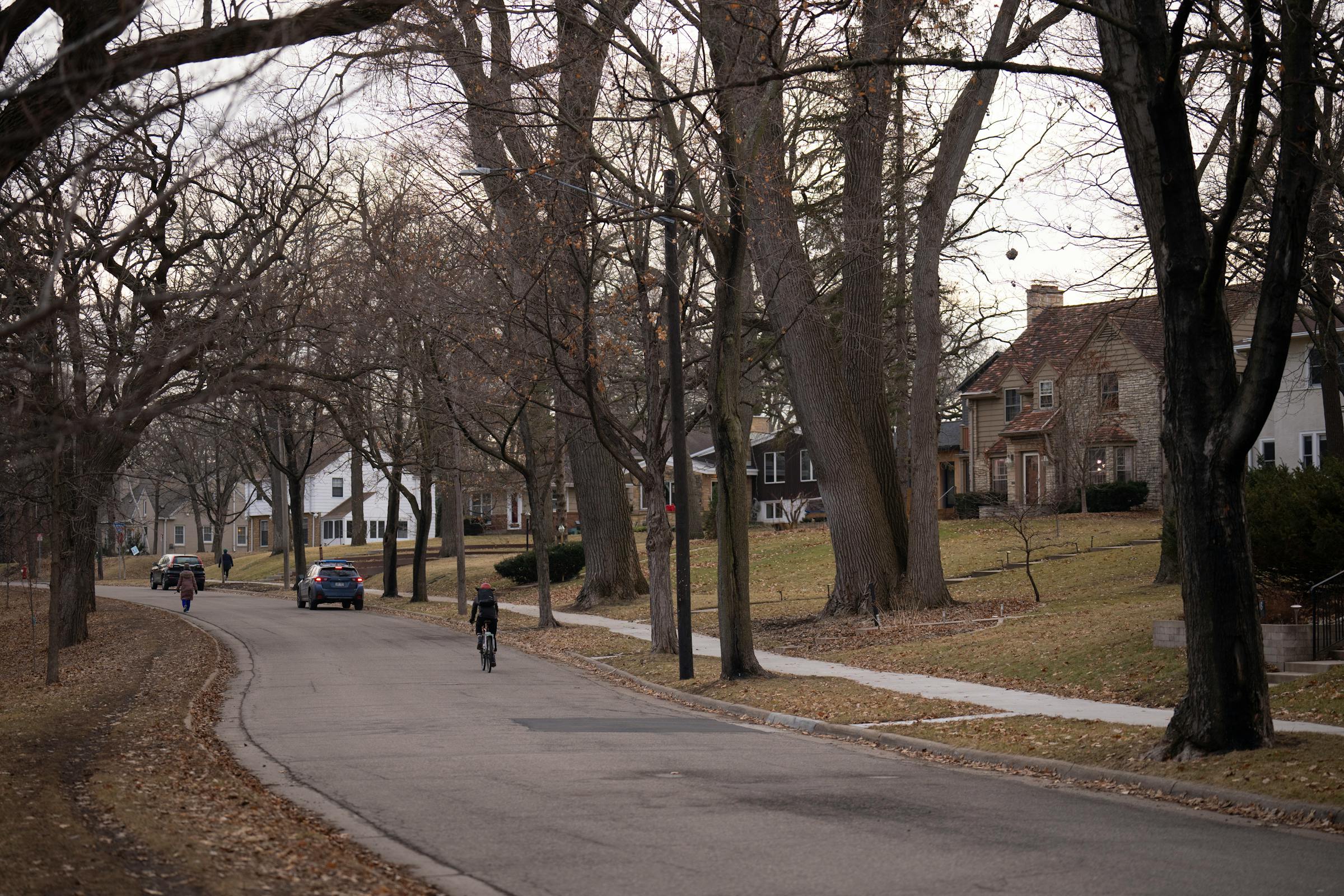 Minneapolis considering renaming street after civil rights pioneer Lena ...