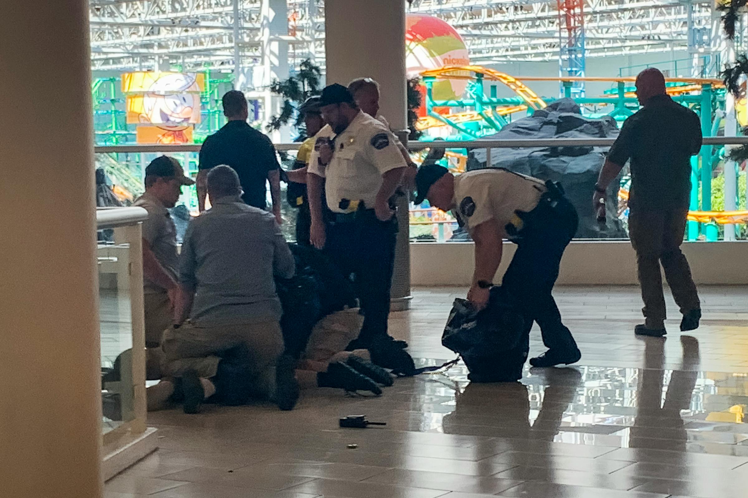 Man with rifle in Mall of America tackled and arrested after robbing ...