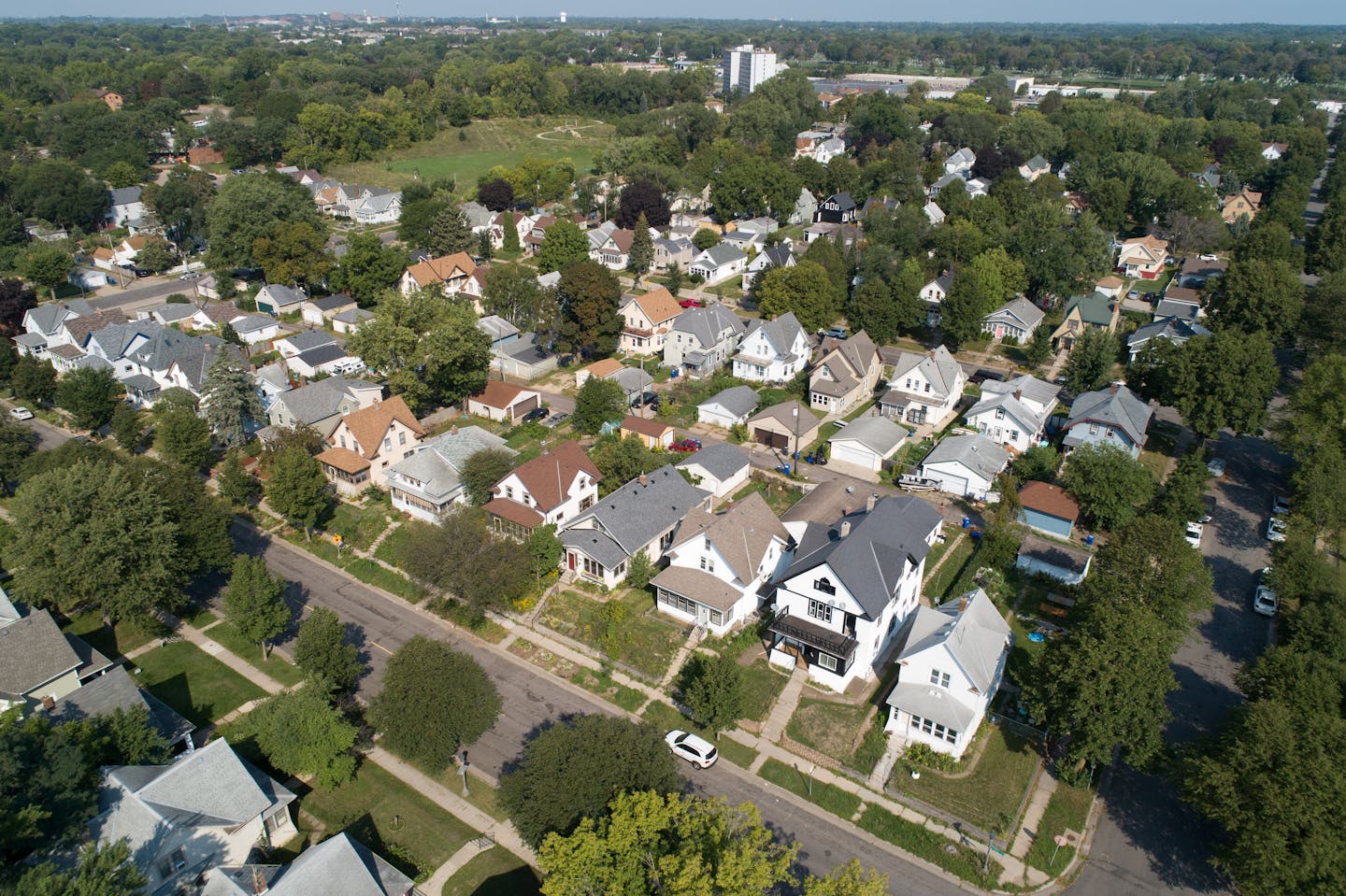 How planting trees fights racial inequity and climate change in Twin ...
