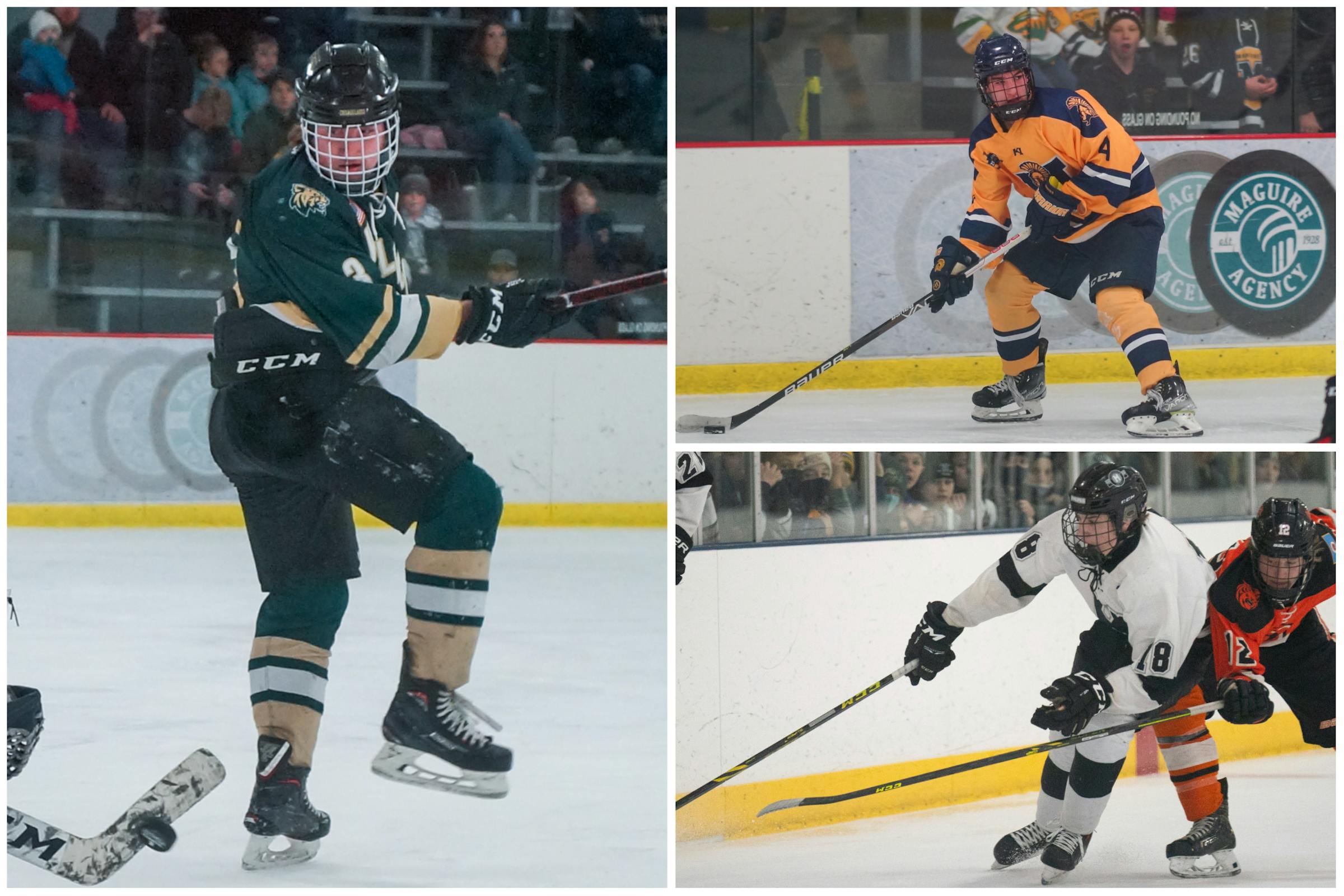 Introducing 15 players to watch this season in high school boys hockey