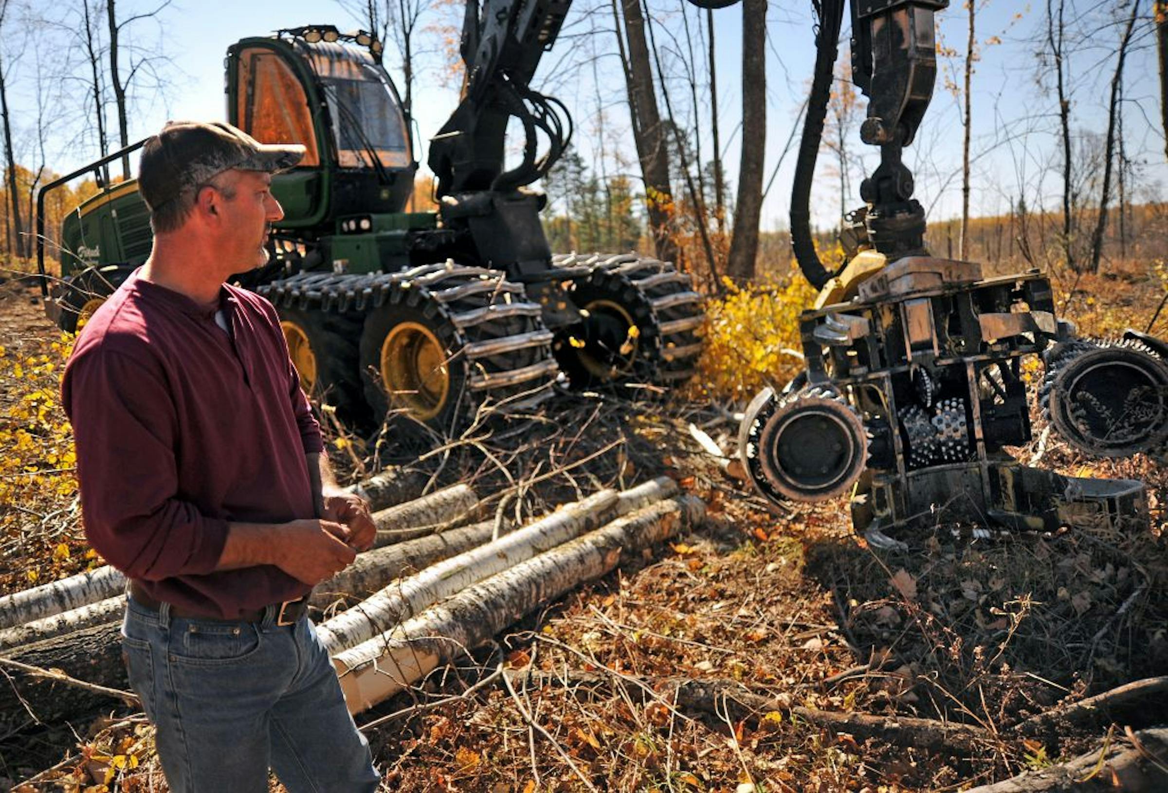 Minnesota loggers feeling pain due to cuts in demand for wood