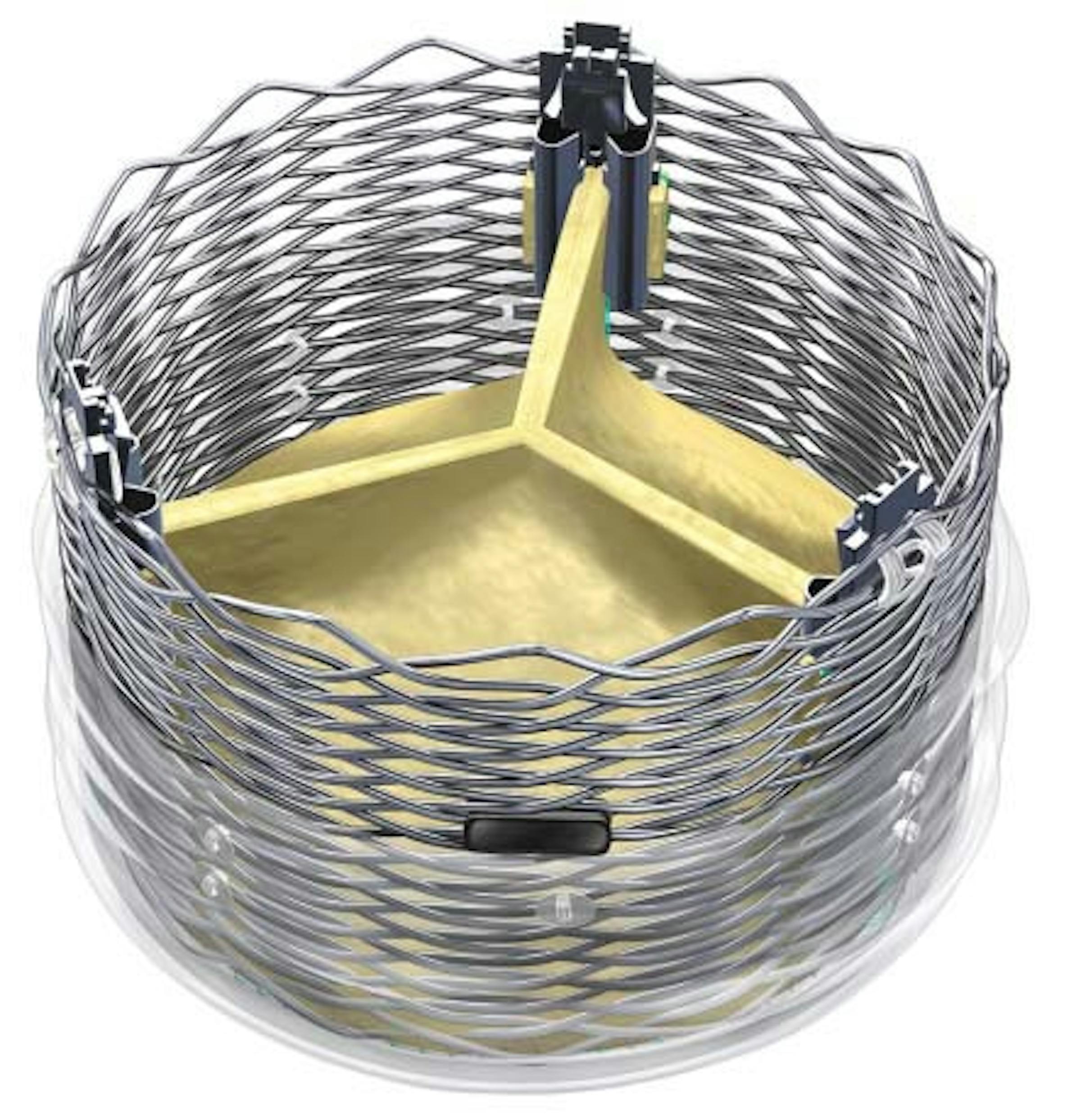 Boston Scientific issues voluntary recall of Lotus valve system