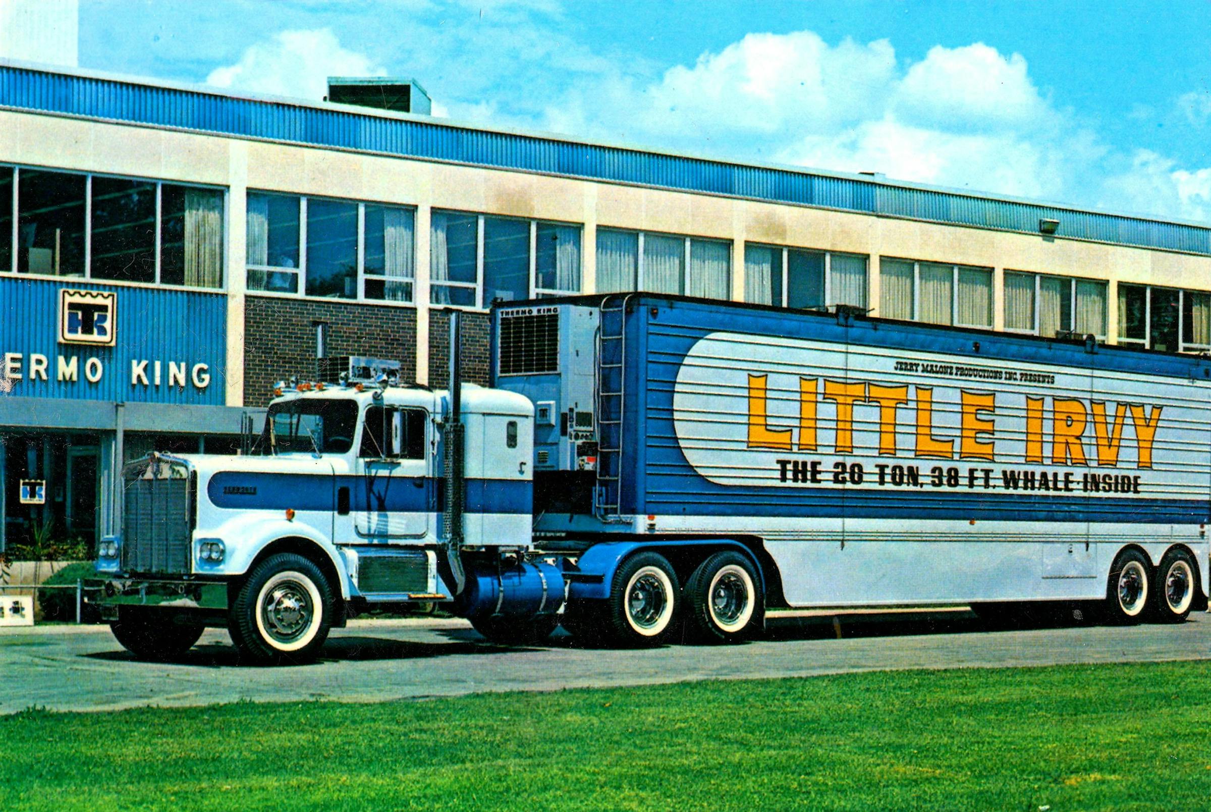 What happened to Little Irvy, the traveling frozen whale that appeared at the Minnesota State Fair?