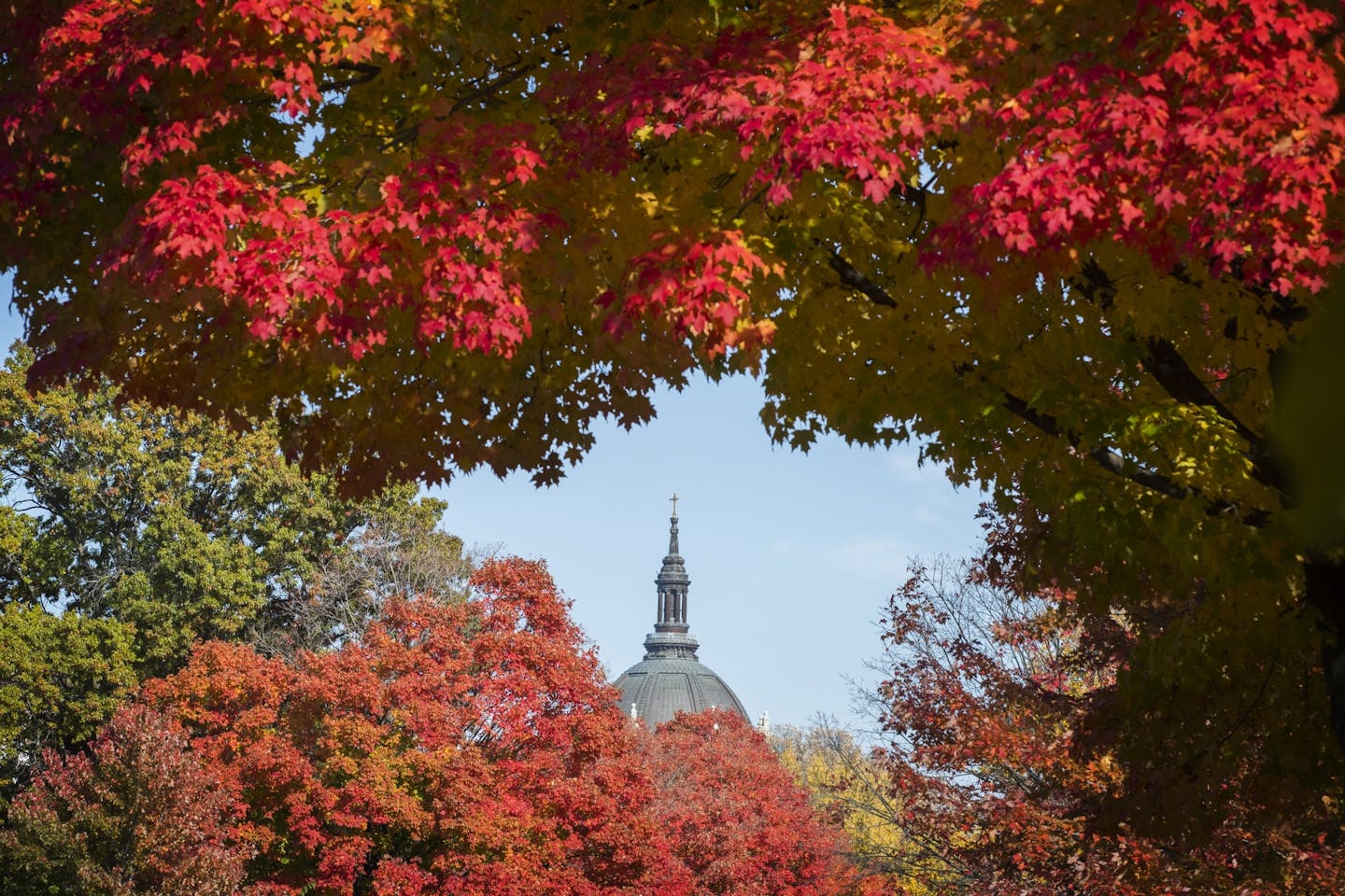 Twin Cities fall colors
