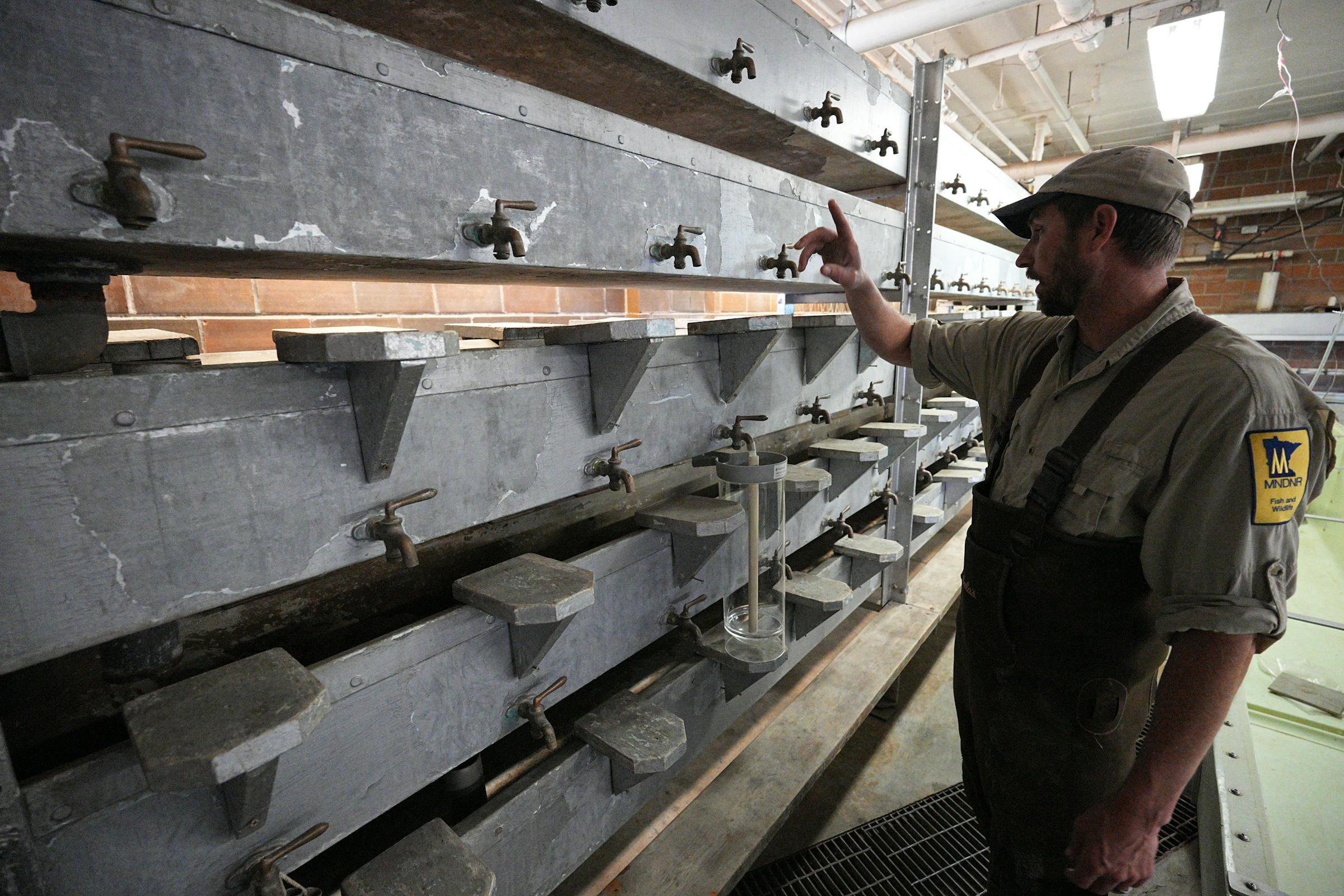 Minnesota Legislature passes a jumbo-sized outdoors bill with ...