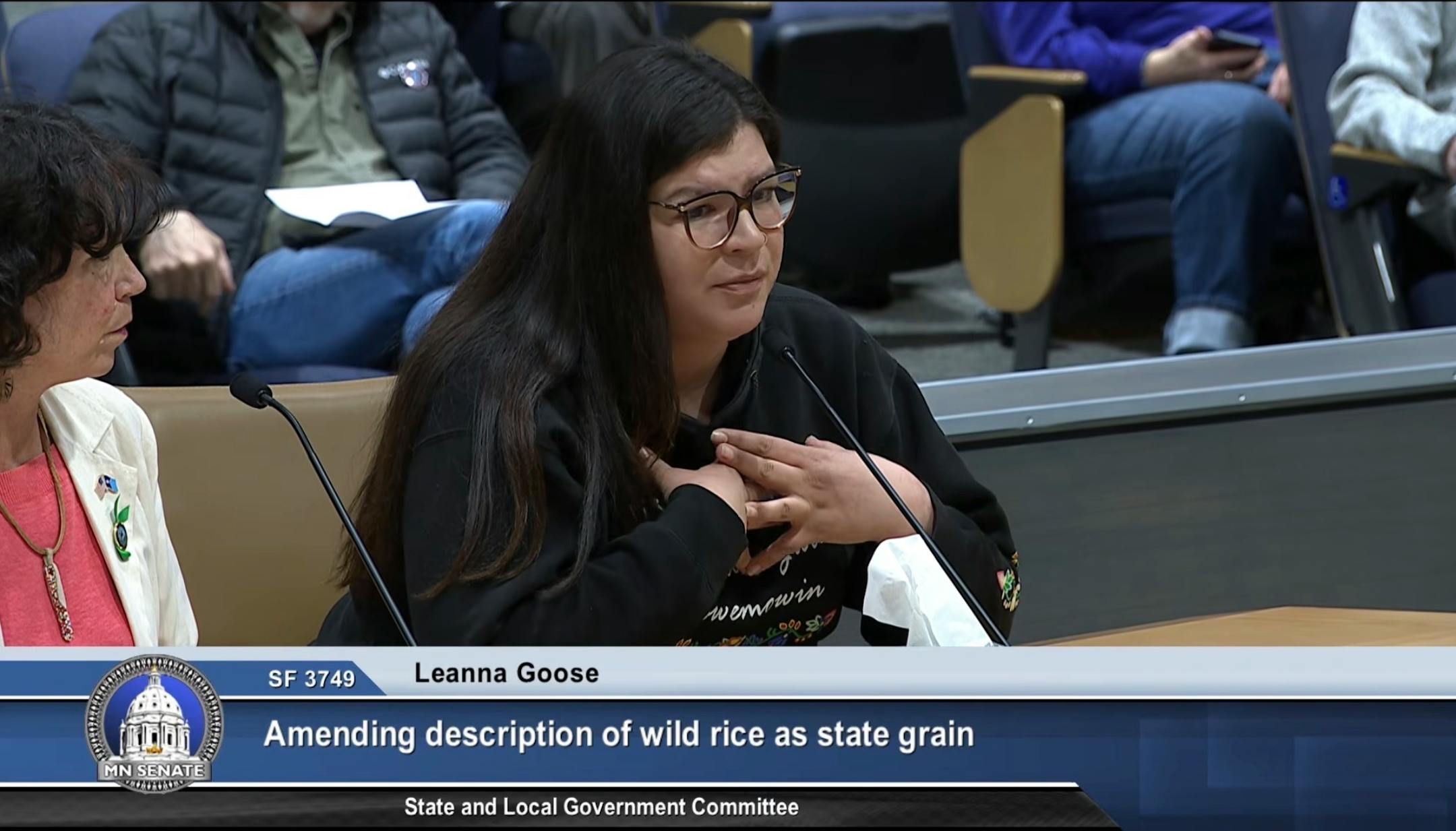 Bill aims to recognize inherent right of wild rice, Minnesota state grain