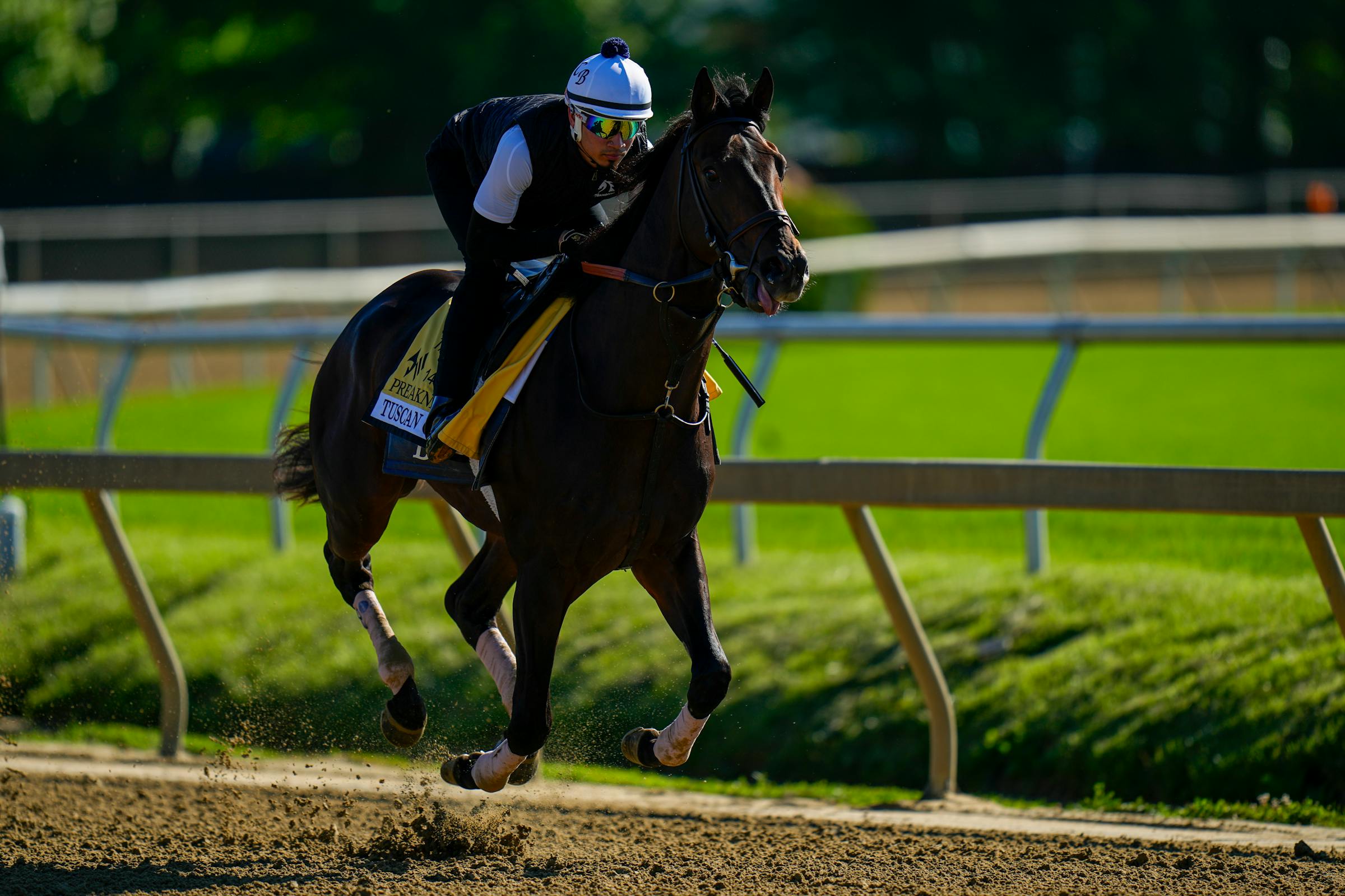 Star Tribune handicapper Jay Lietzau analyzes the Preakness Stakes
