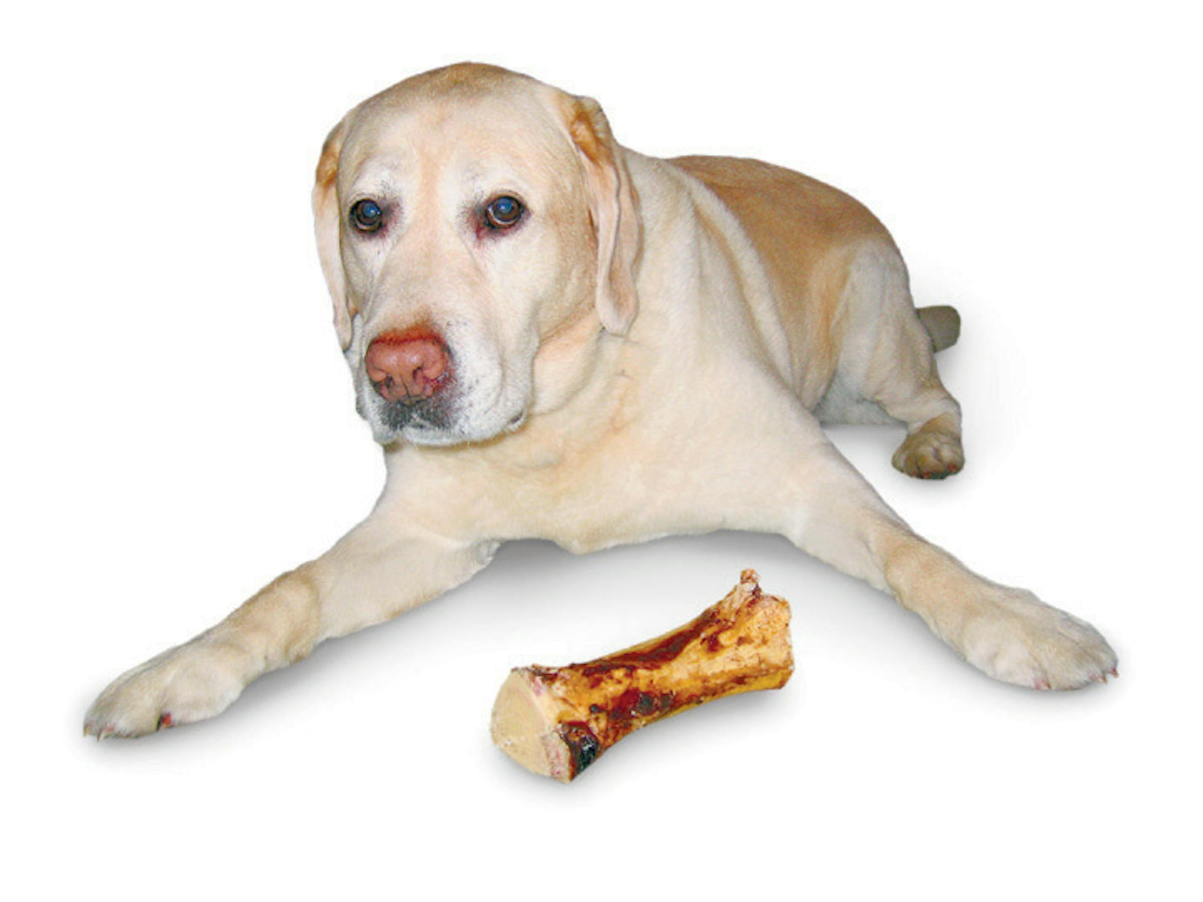 Understanding Resource Guarding