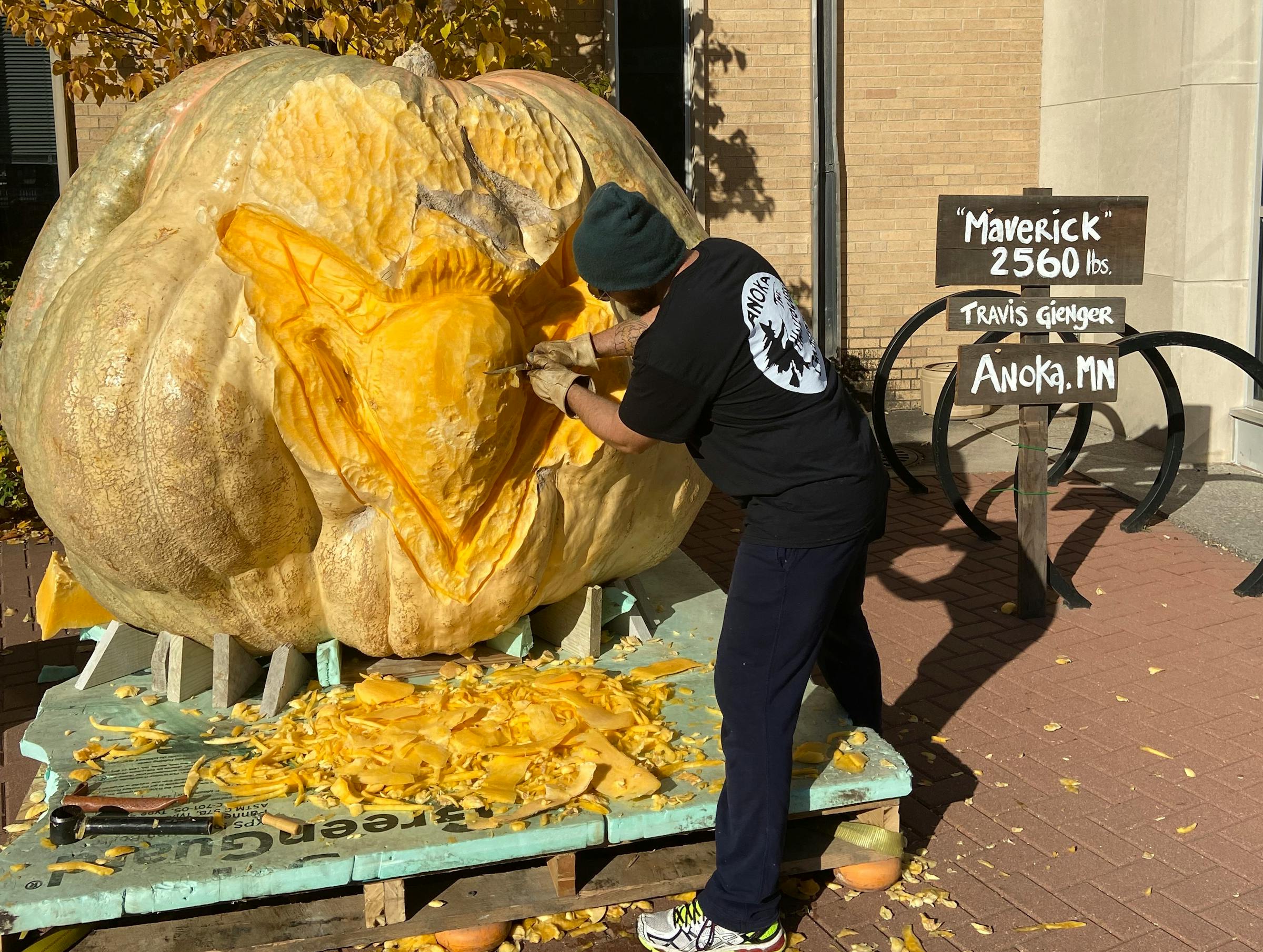 Anoka man sets two records in turning North America’s largest pumpkin ...