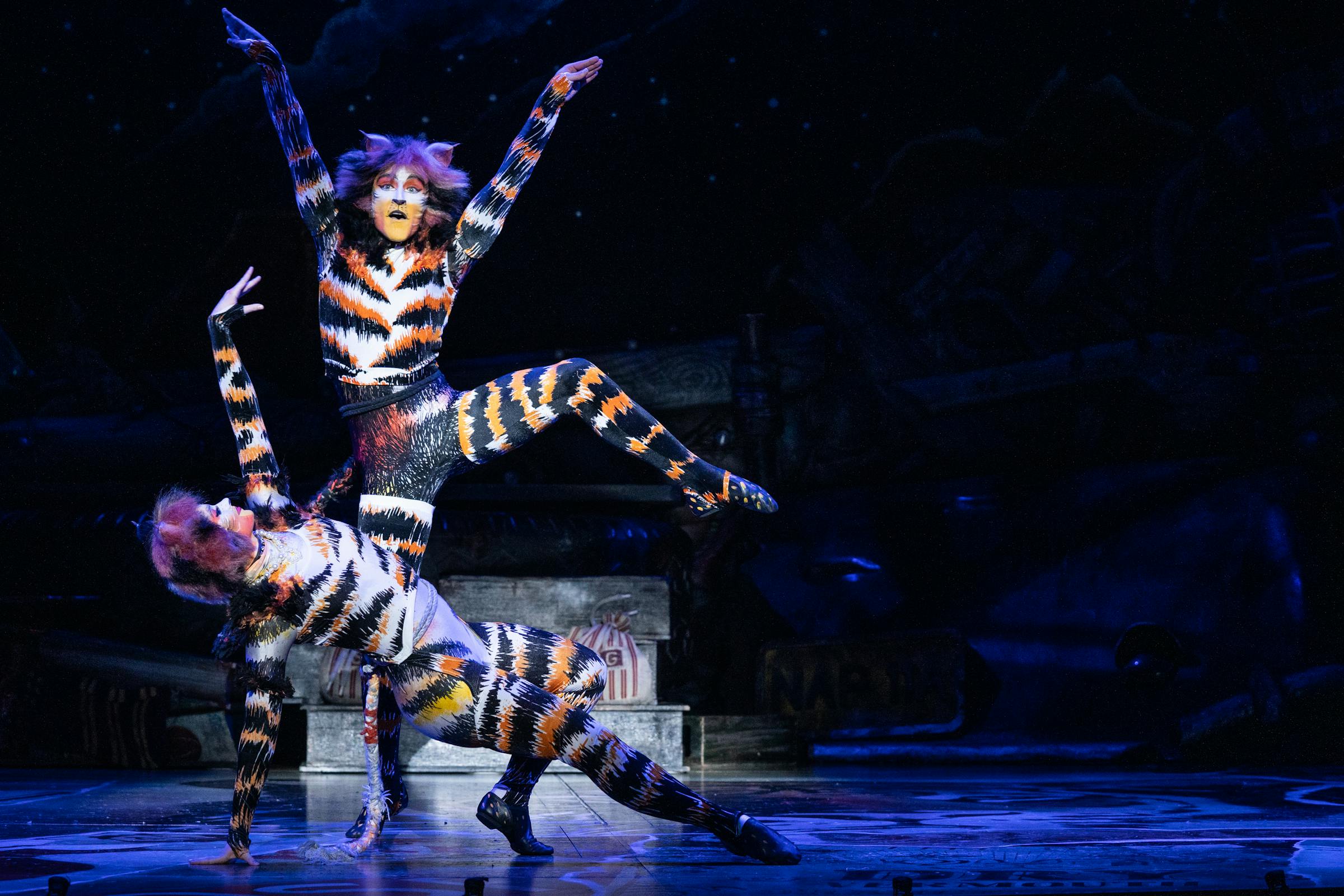 Touring Broadway musical 'Cats' aims to help cats in Minnesota