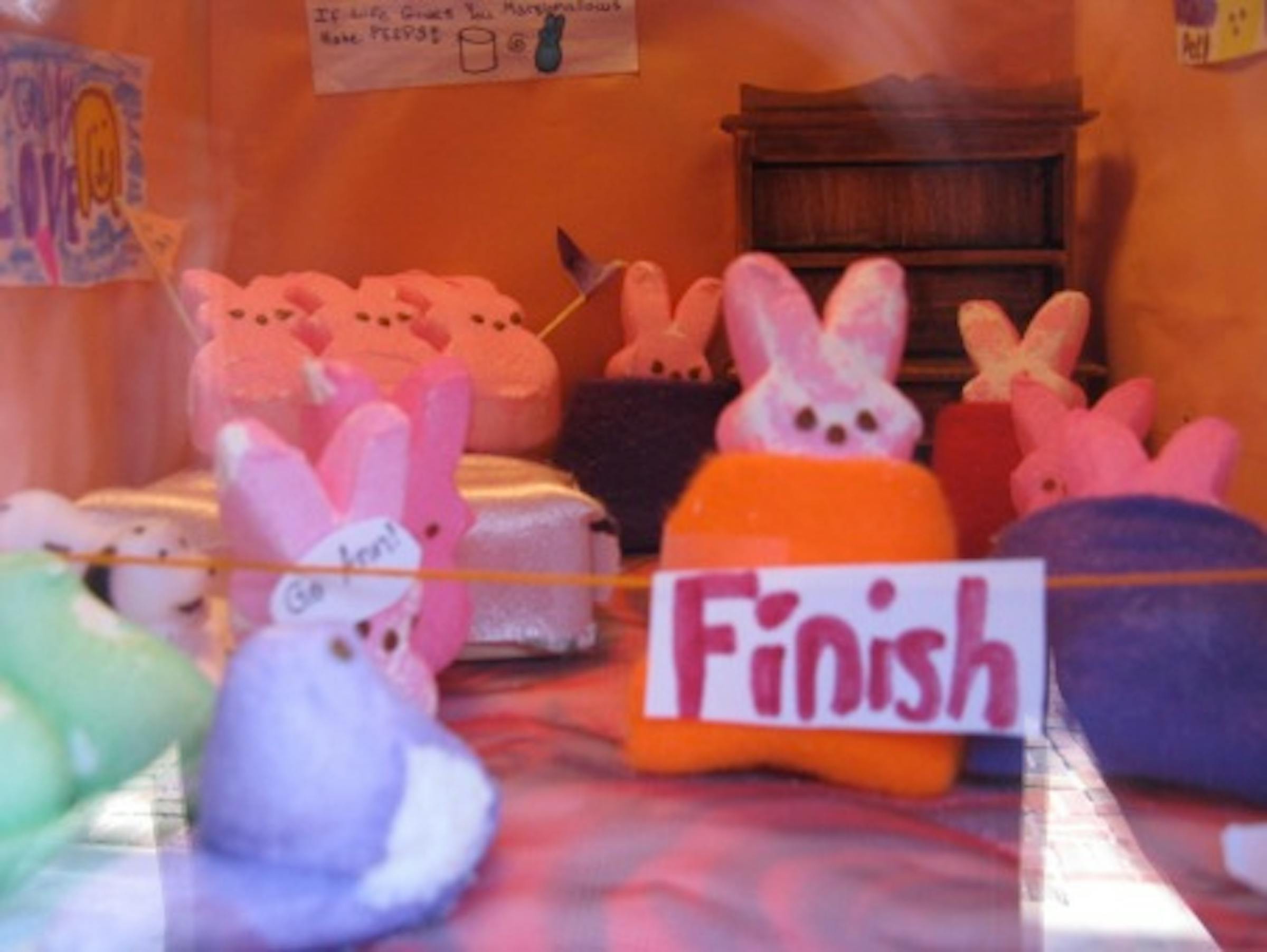 Wilde Roast offers a sneak Peep