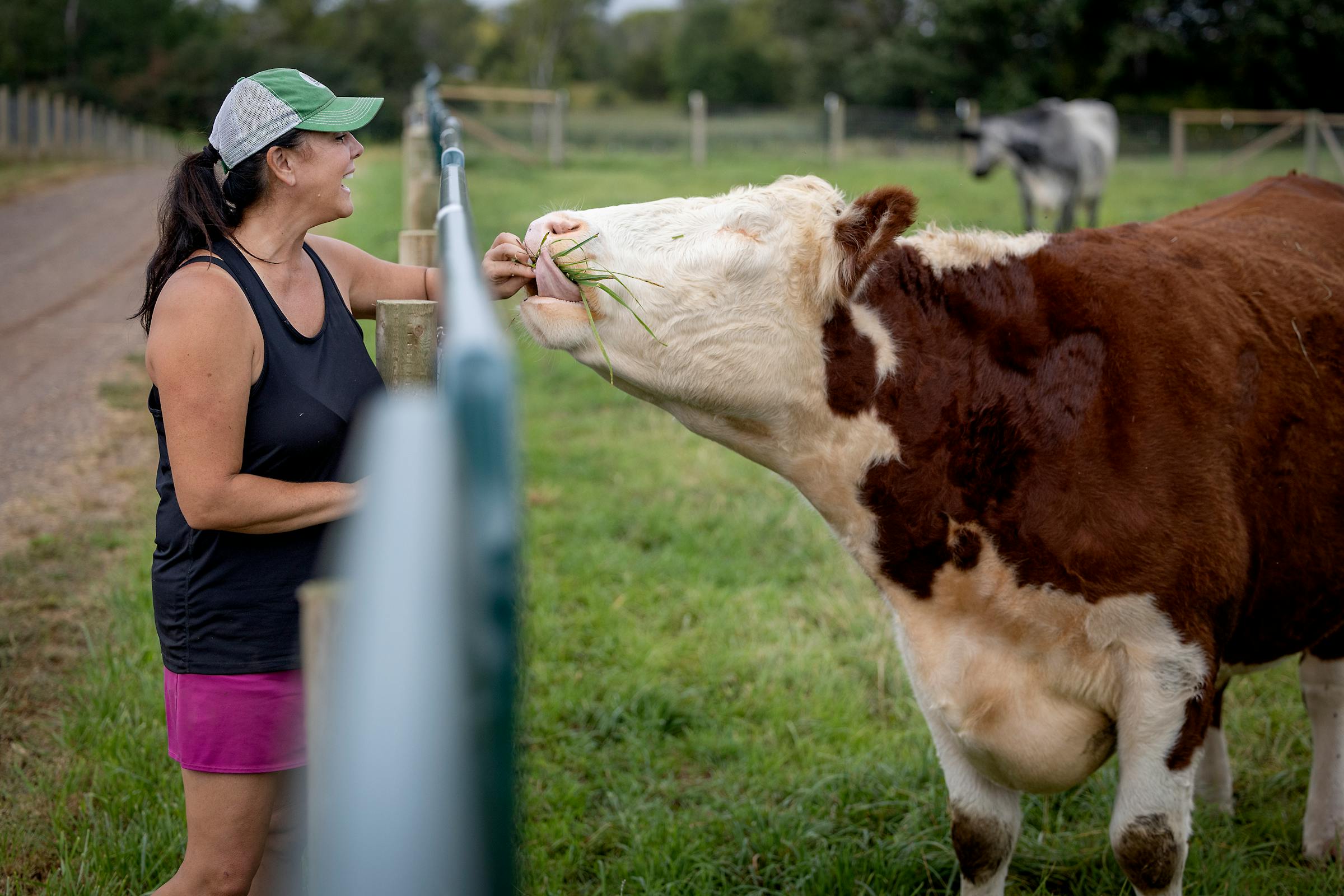 Minnesota Farmaste Animal Sanctuary farm gives animals a safe space
