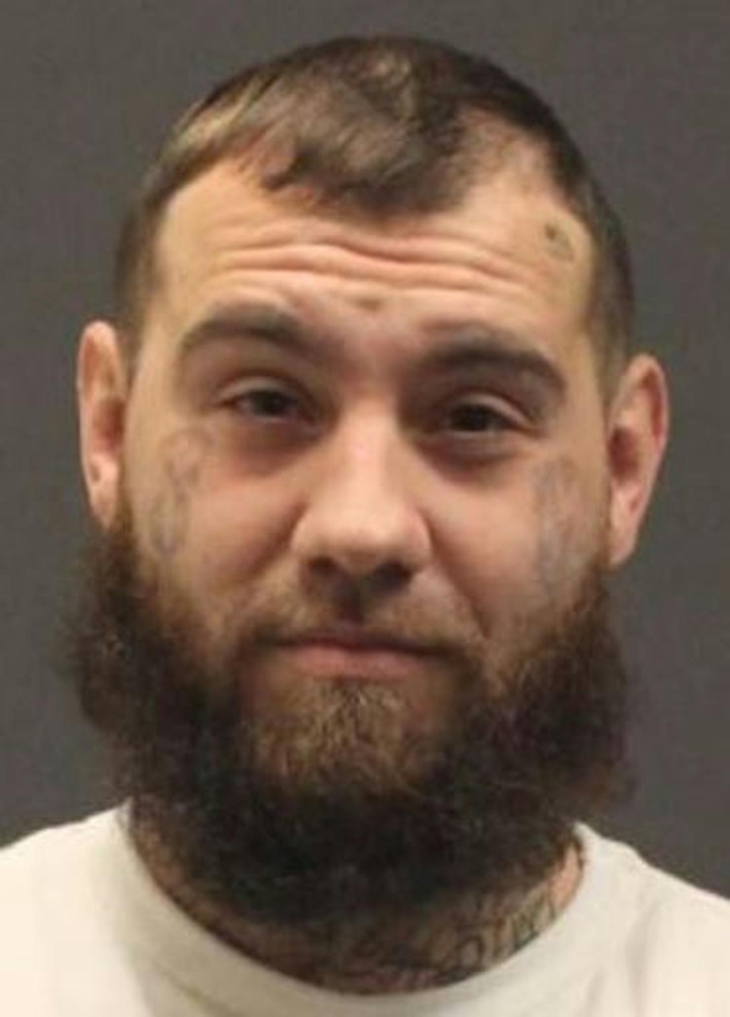 Longtime felon from West St. Paul faces years in prison after admitting ...