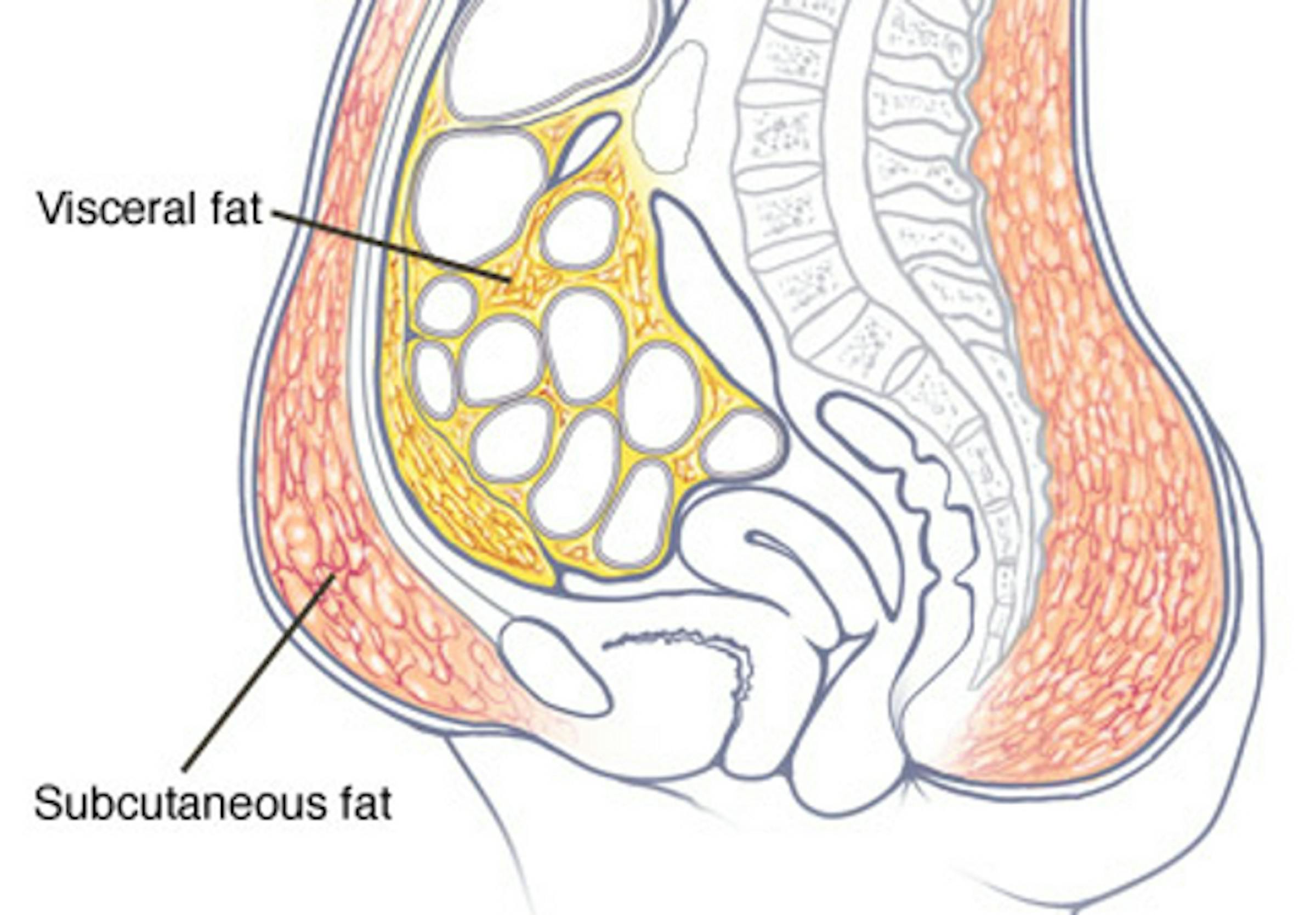 Menopause study: Mayo finds explanation for belly fat