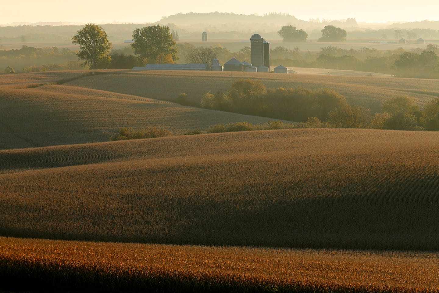 Farmland prices softening in Minnesota
