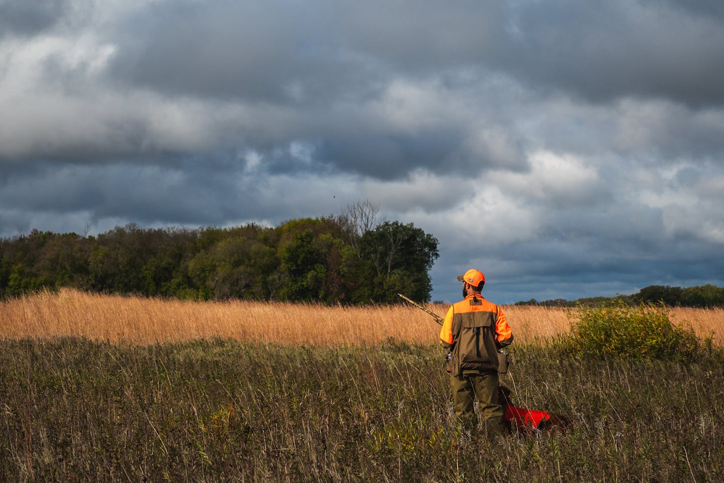 Takeaways from a field of Minnesota pheasant hunters on opening weekend