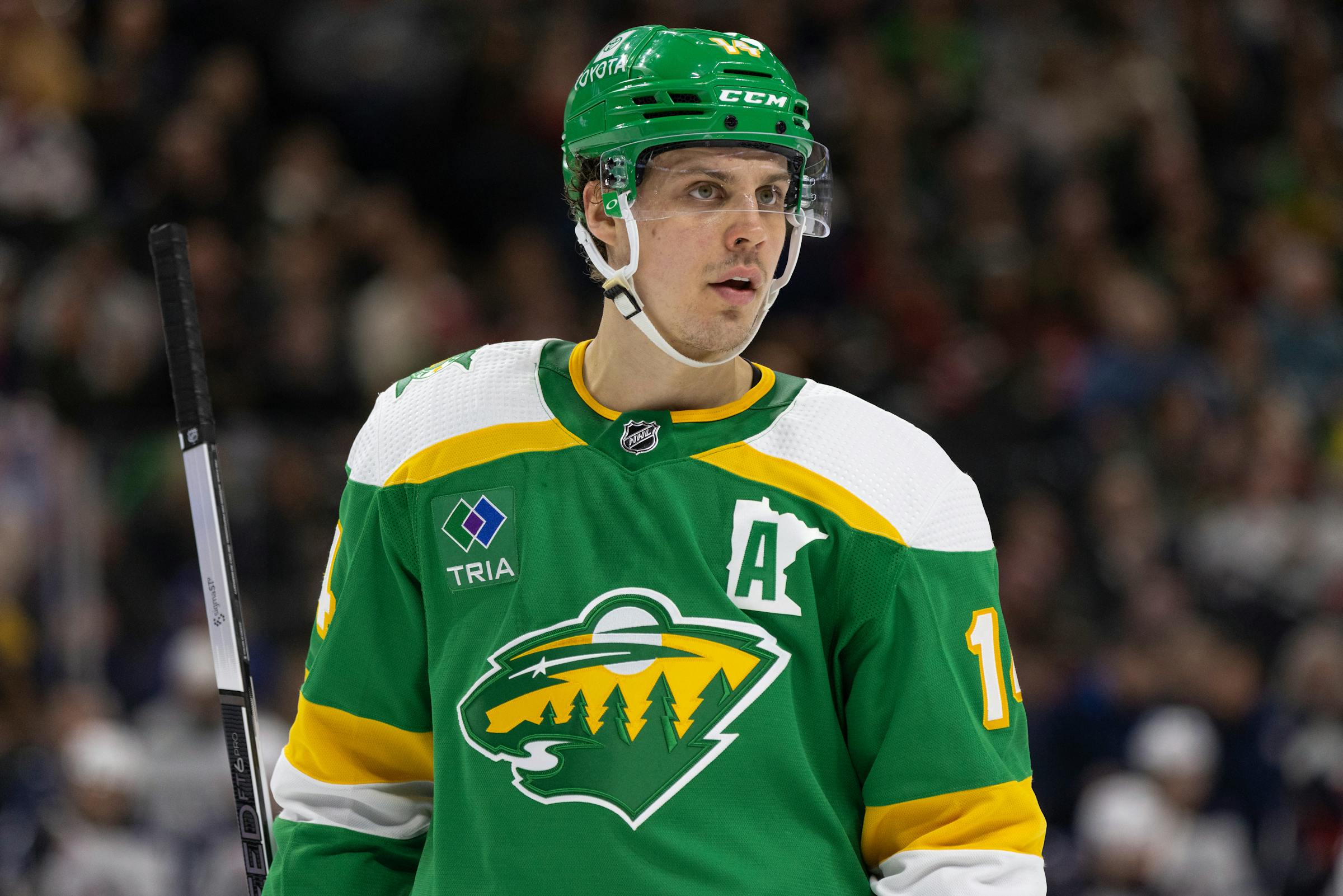 Wild vs. Ducks game preview: broadcast info and analysis