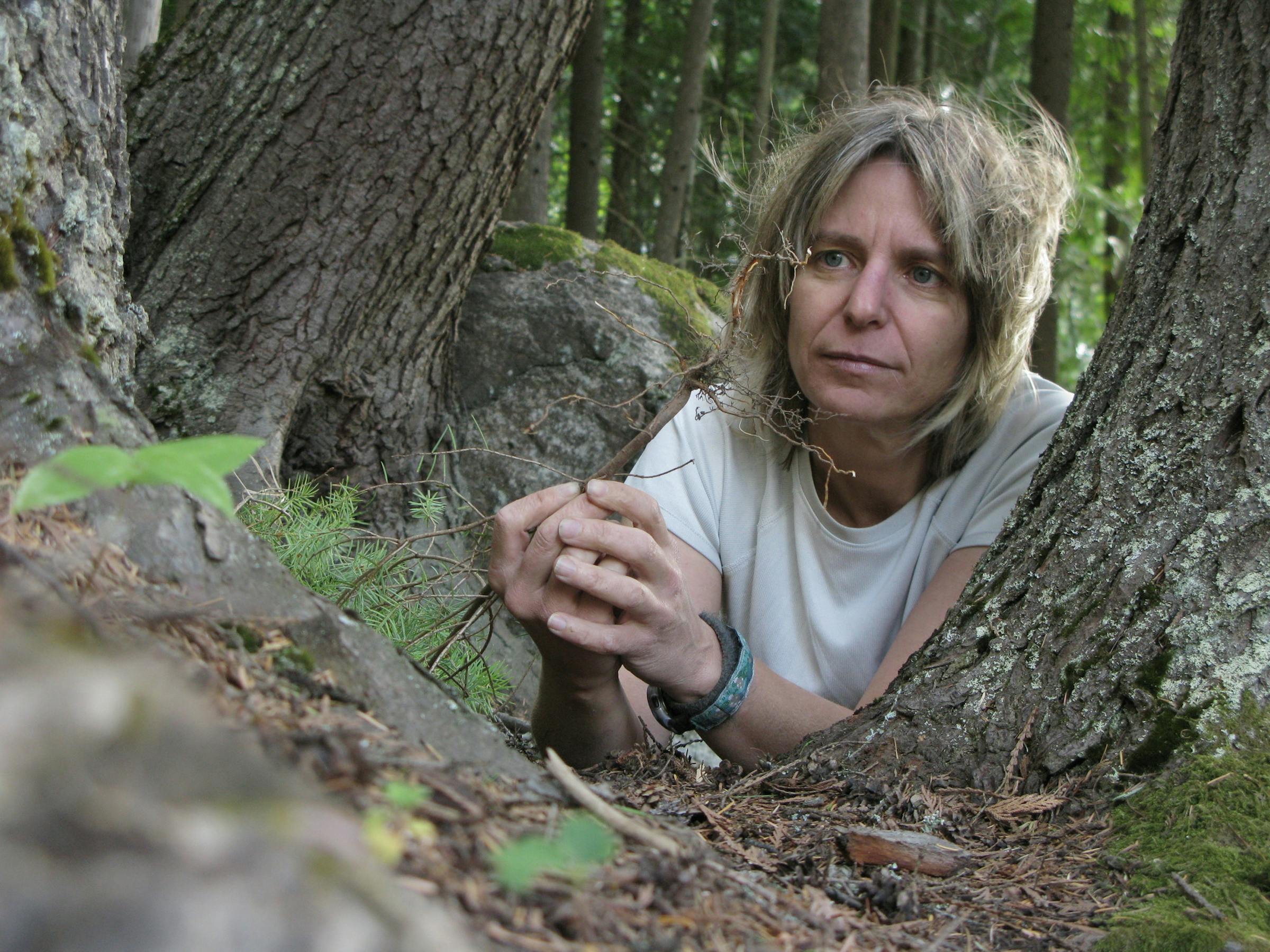 Review: 'Finding the Mother Tree,' by Suzanne Simard