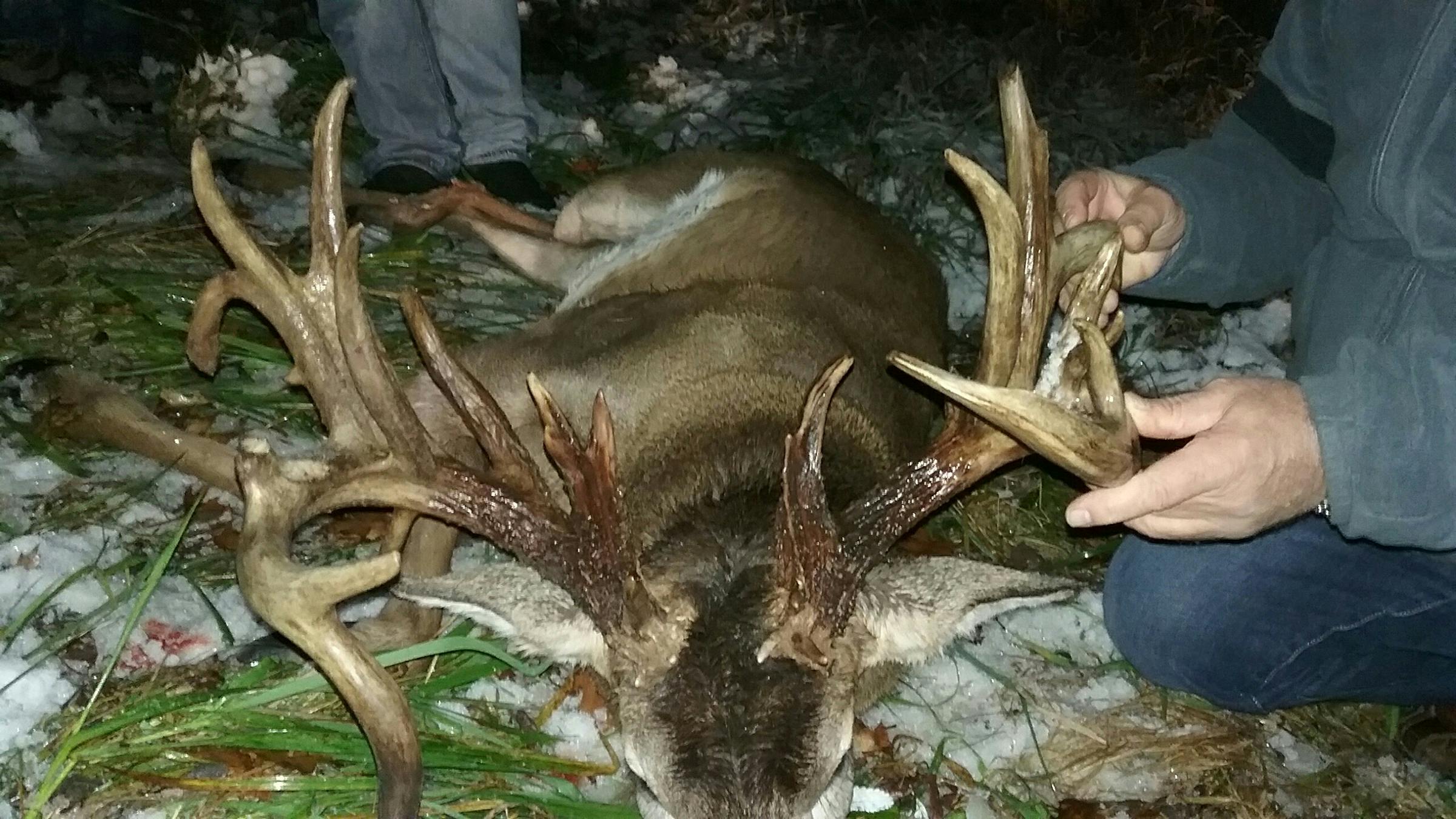 Who's entitled to a prized buck killed by a van in Wisconsin?