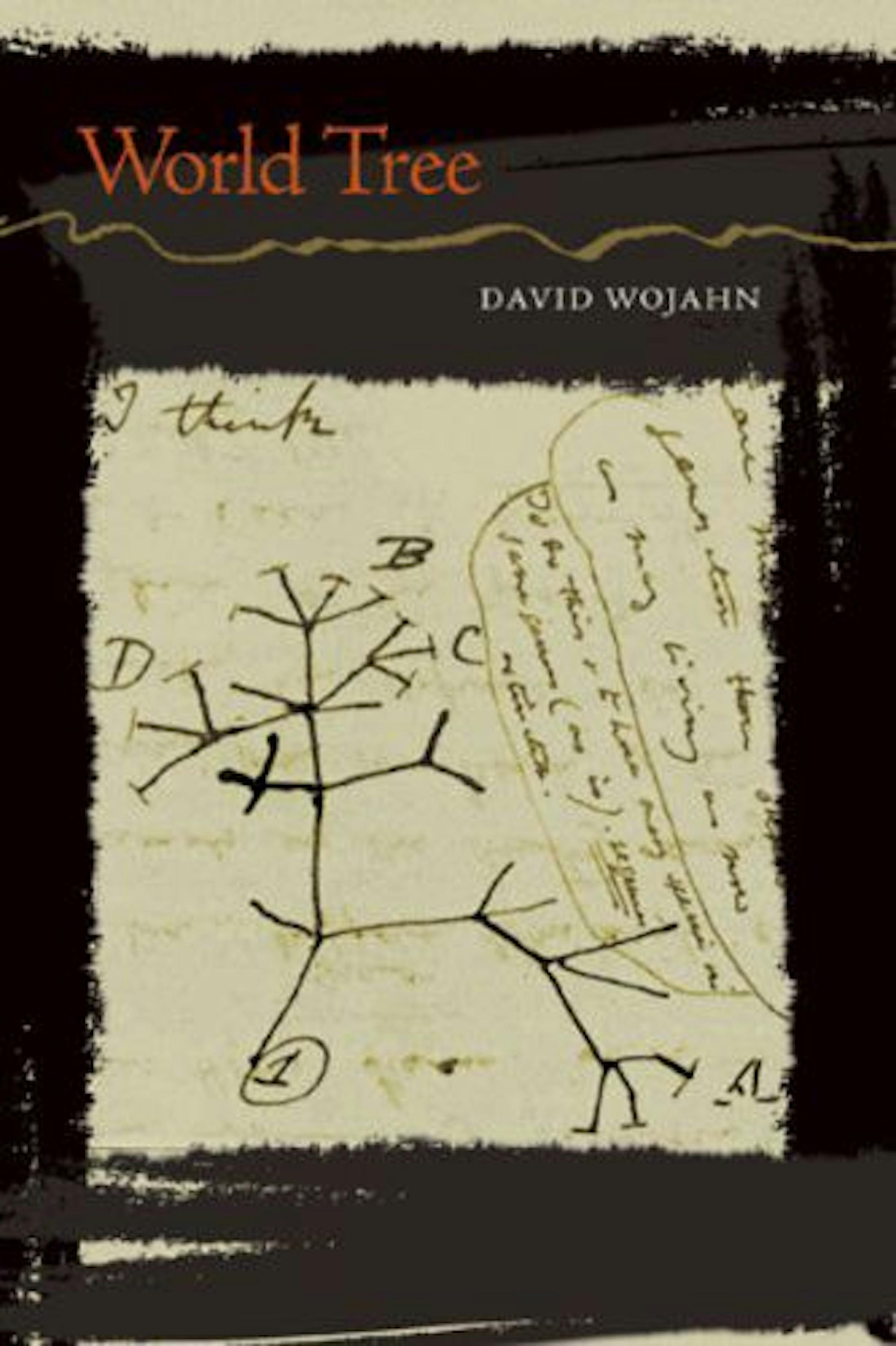 Wojahn takes on 'all the world' with new poems