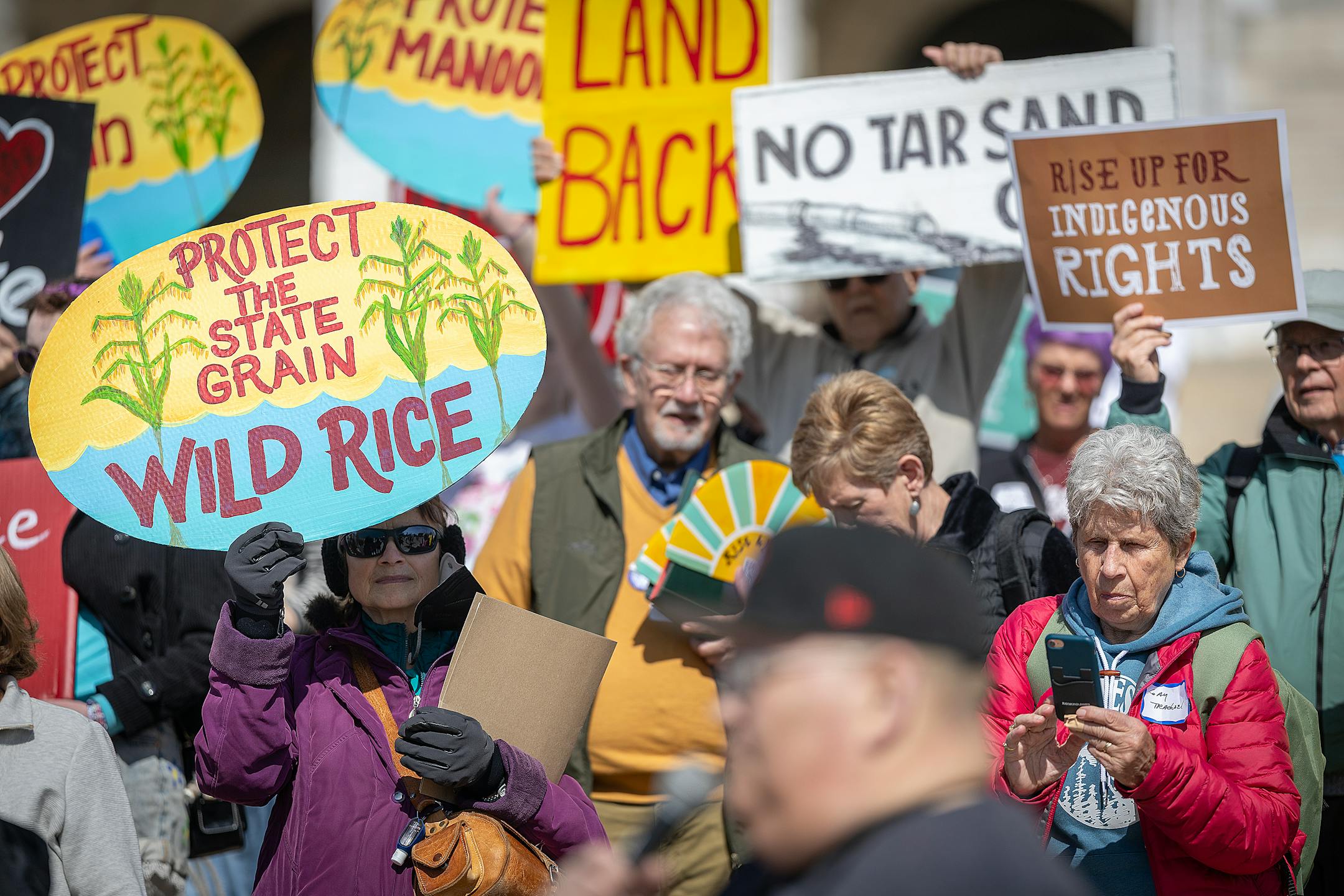 Bill aims to recognize inherent right of wild rice, Minnesota state grain