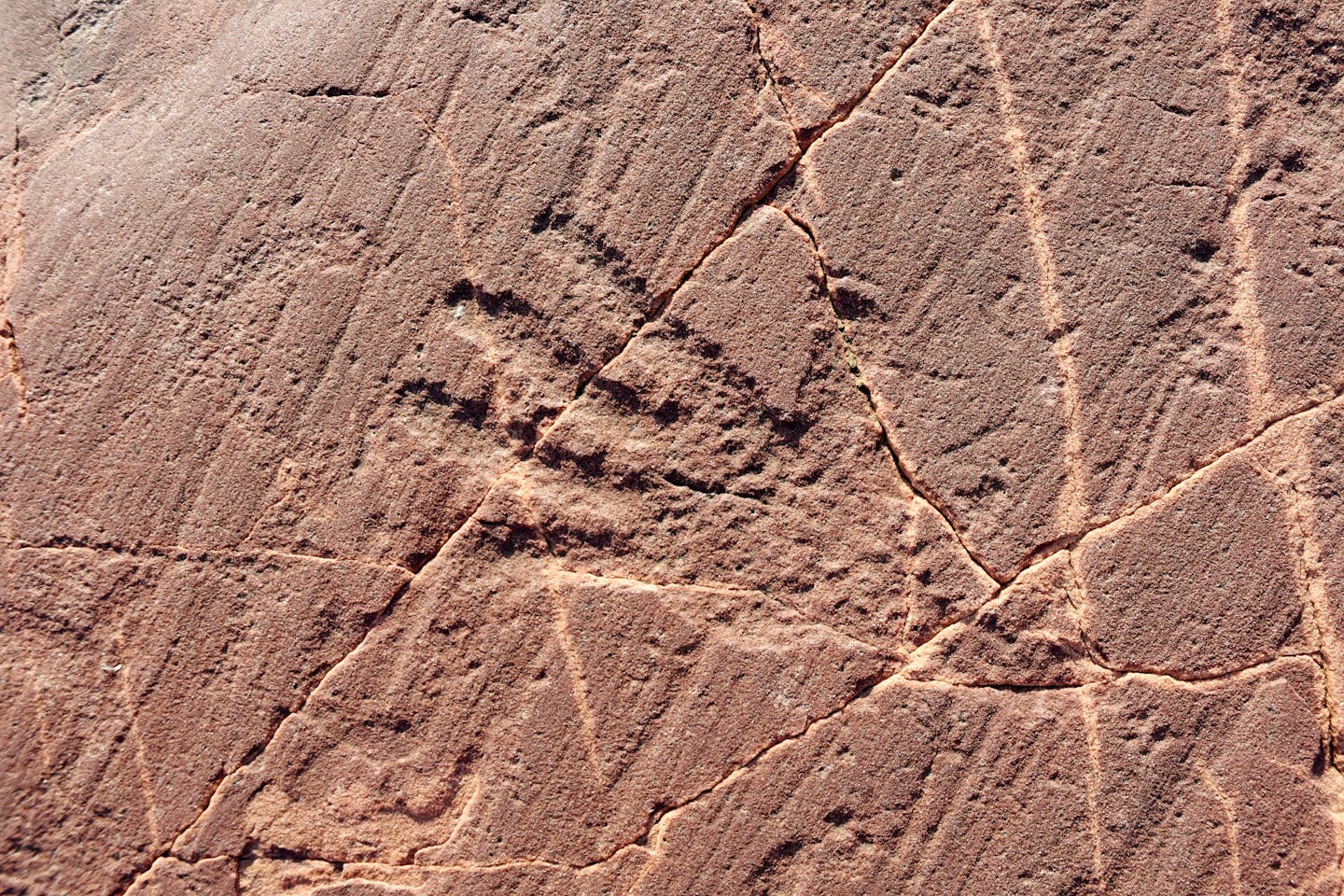 What is the significance of the Jeffers Petroglyphs in southwestern ...