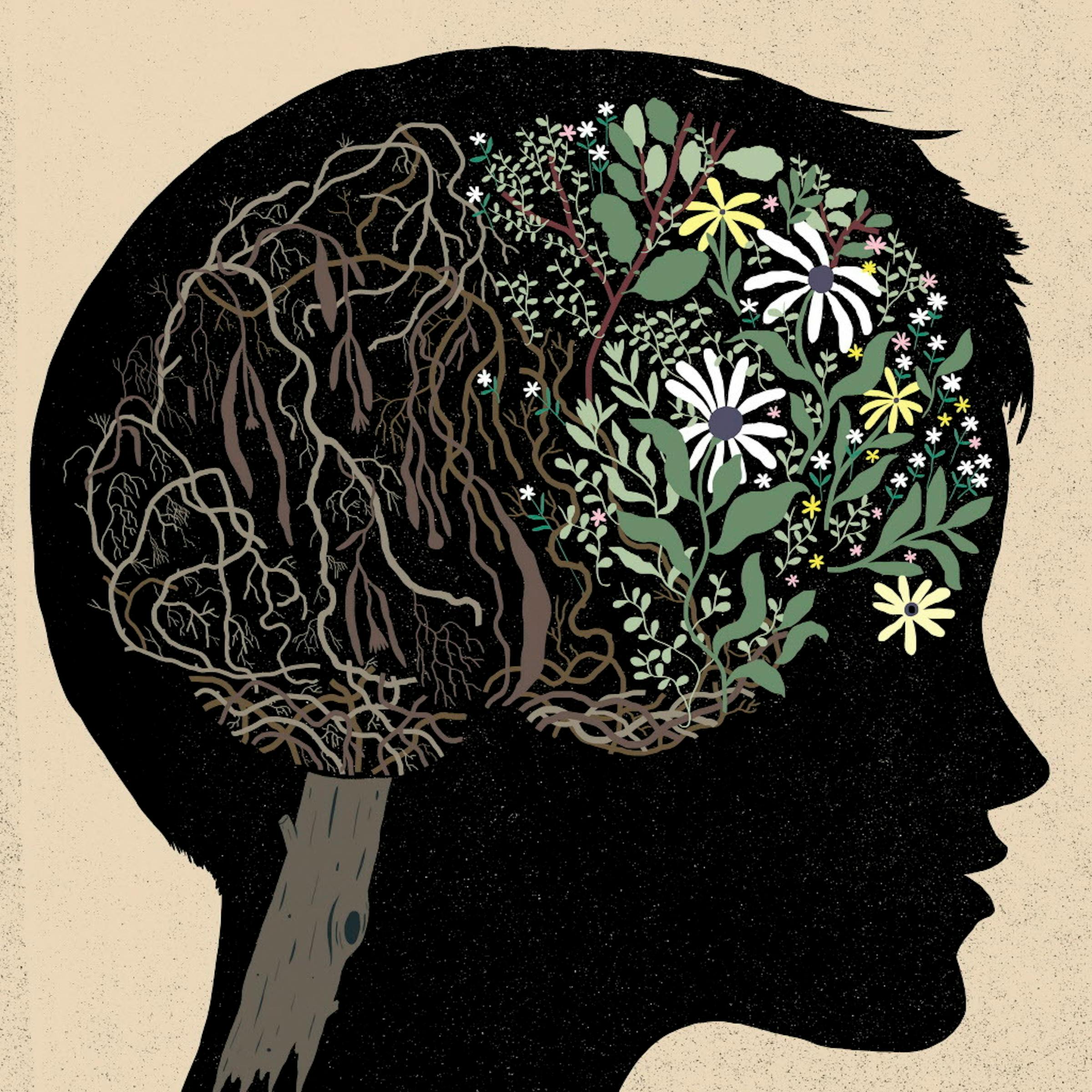 Think your brain is doomed to senility? Think again