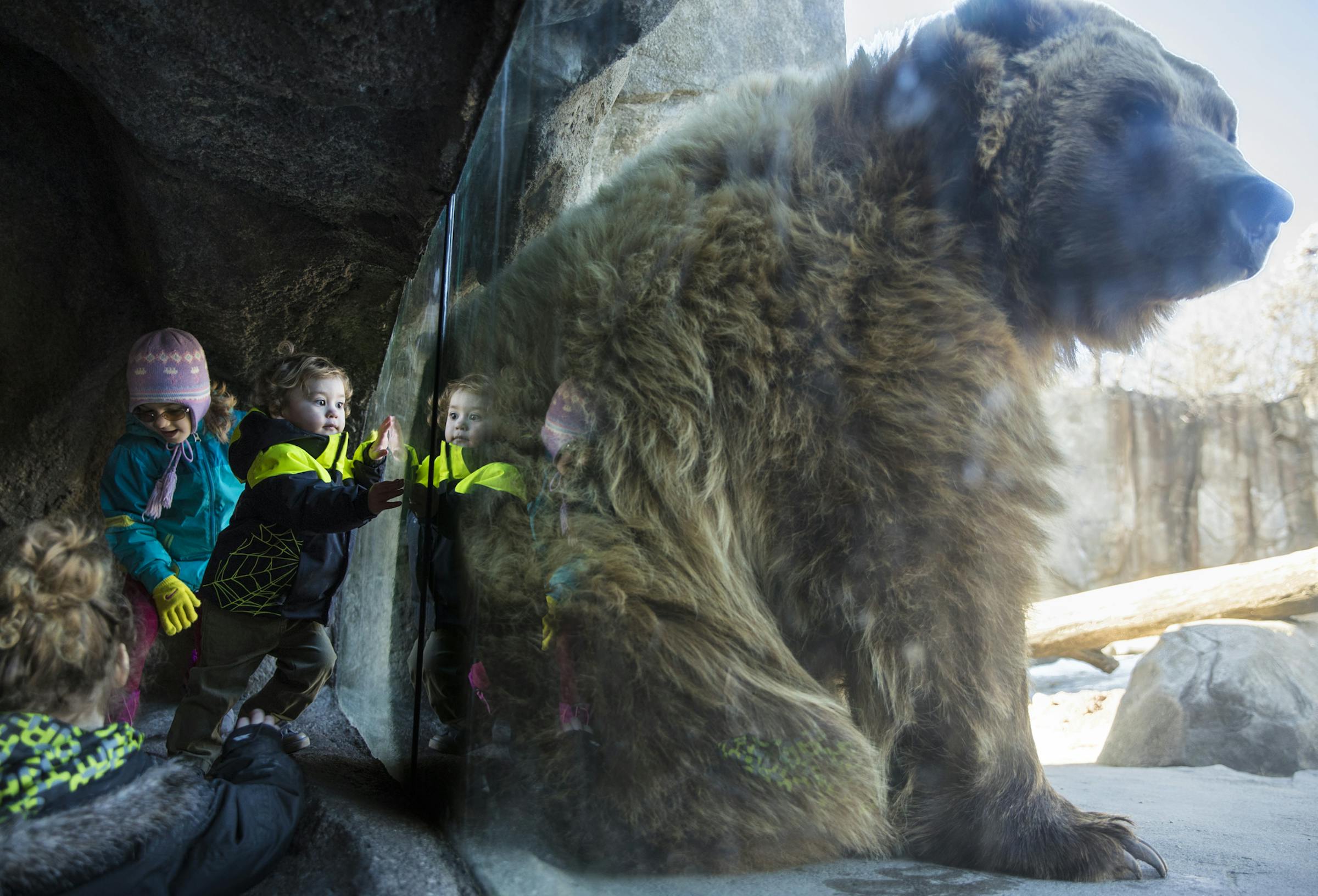 Minnesota Zoo revamps how it reaches out to low-income families, and ...