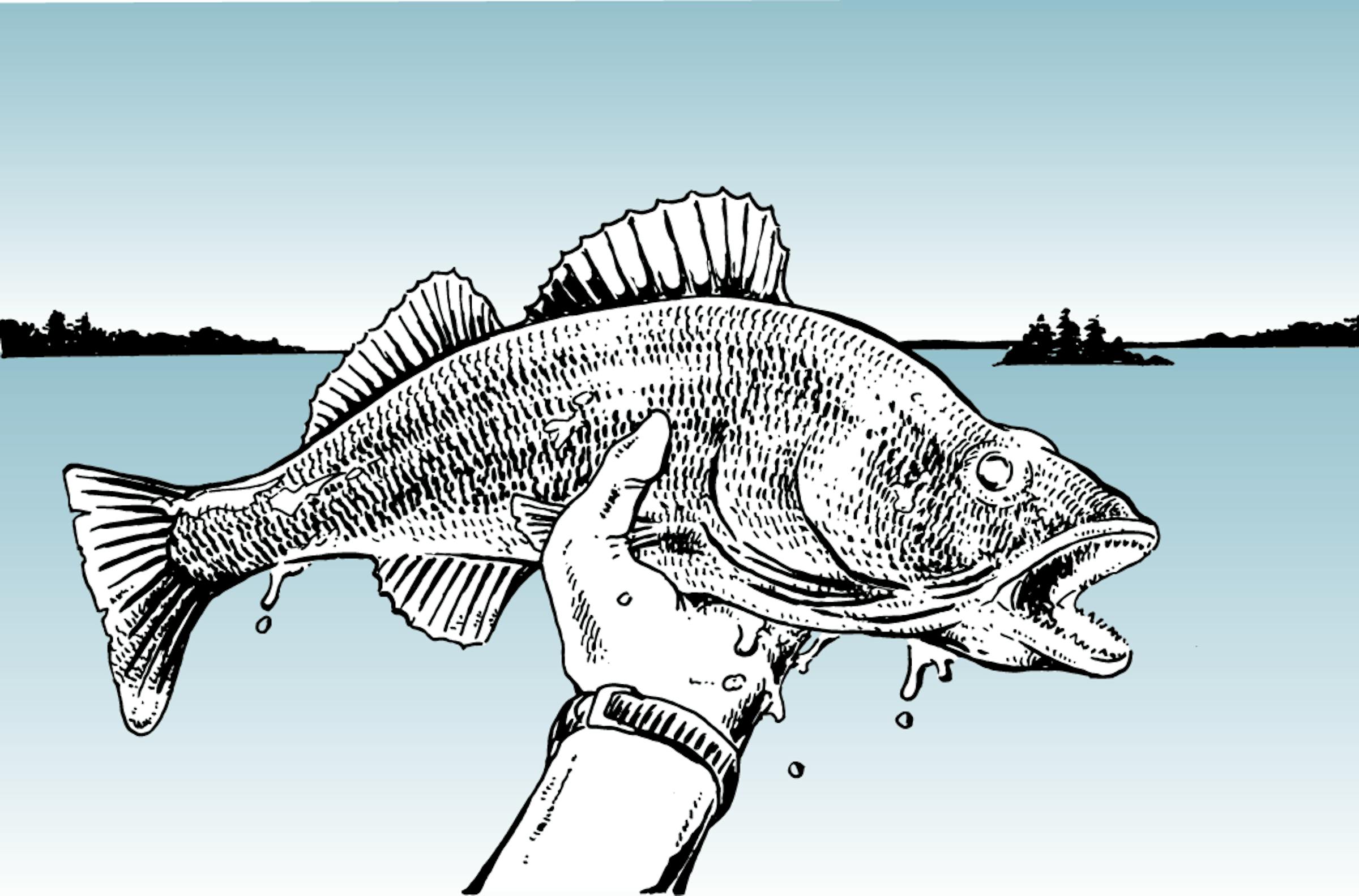 Stocking walleyes in Minnesota: Where science meets the trophy shot