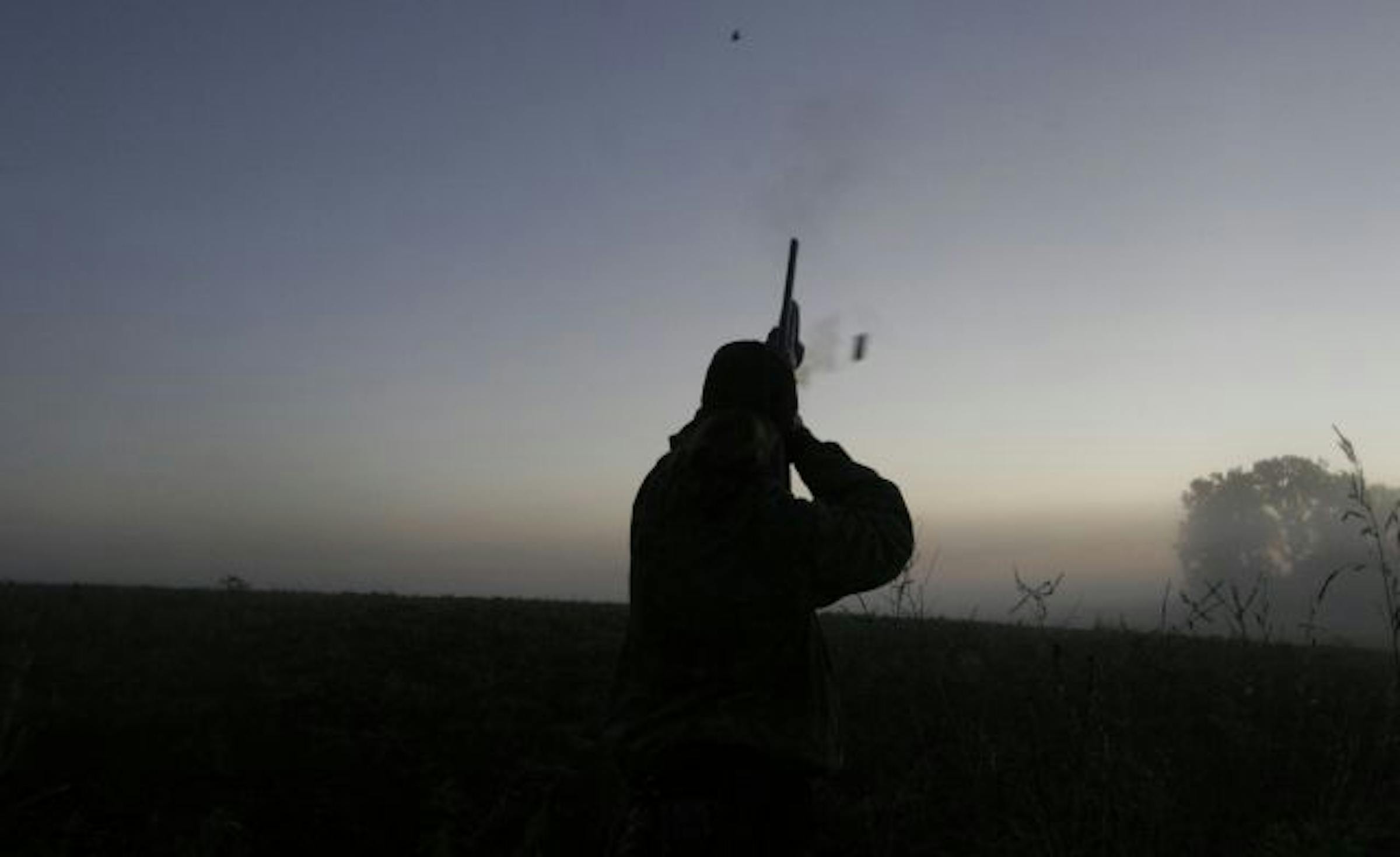 At dawn, a new hunter debuts