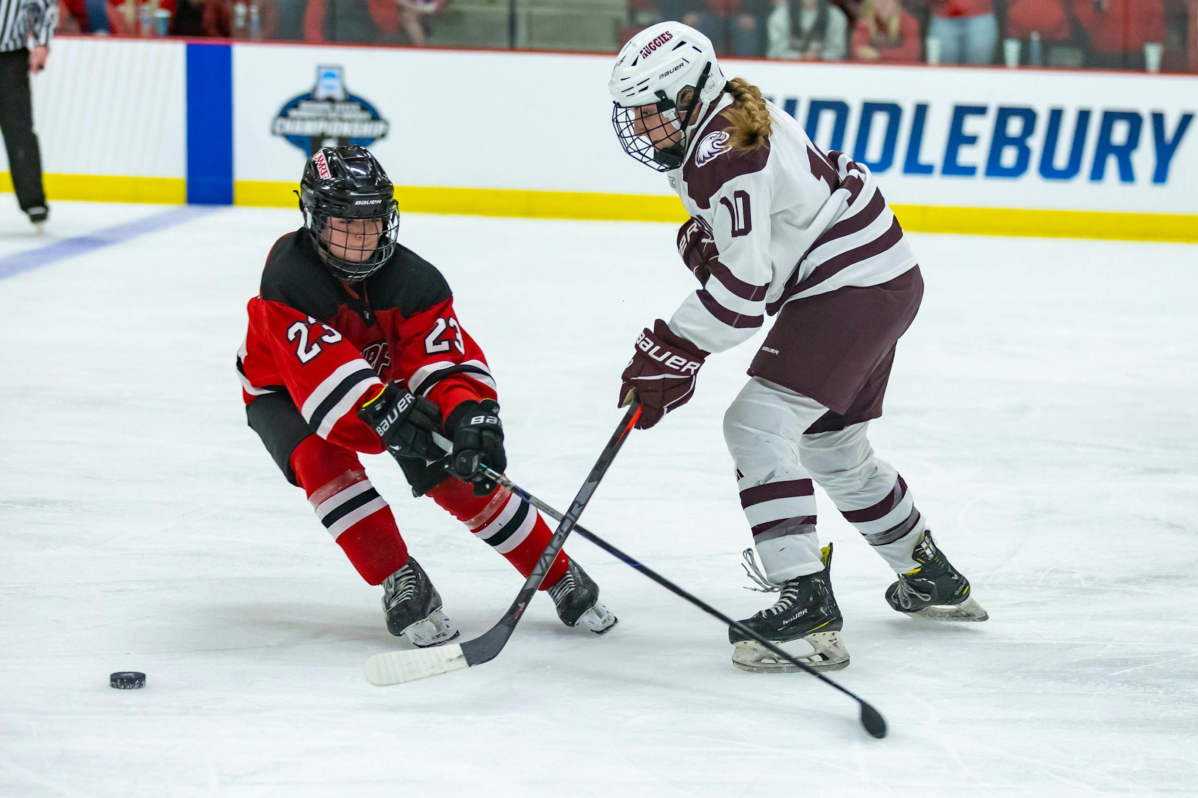 Augsburg falls to Wisconsin-River Falls in NCAA Division III women's hockey