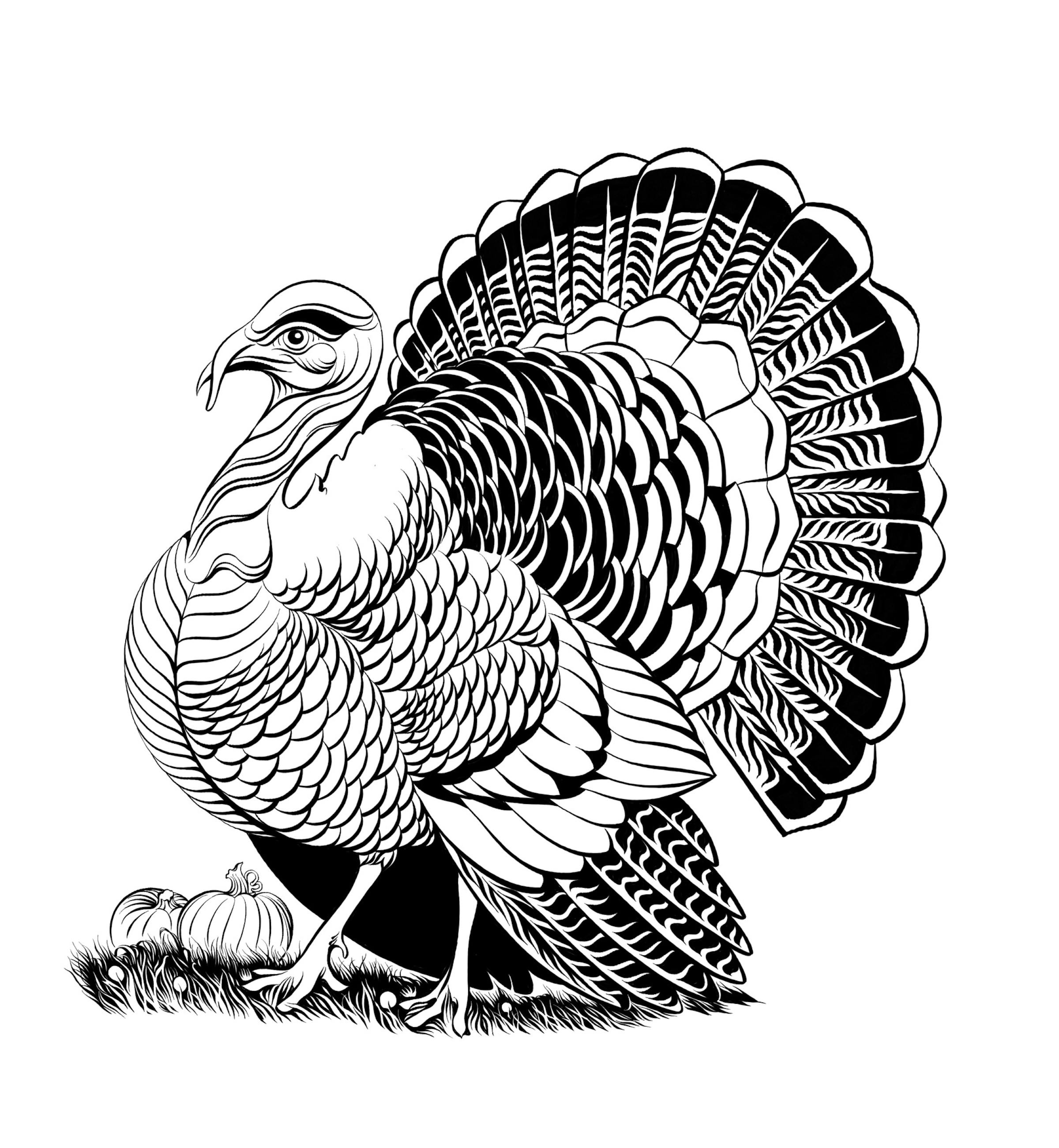 Minneapolis artist Andrés Guzmán inked this year's Oh, You Turkey ...