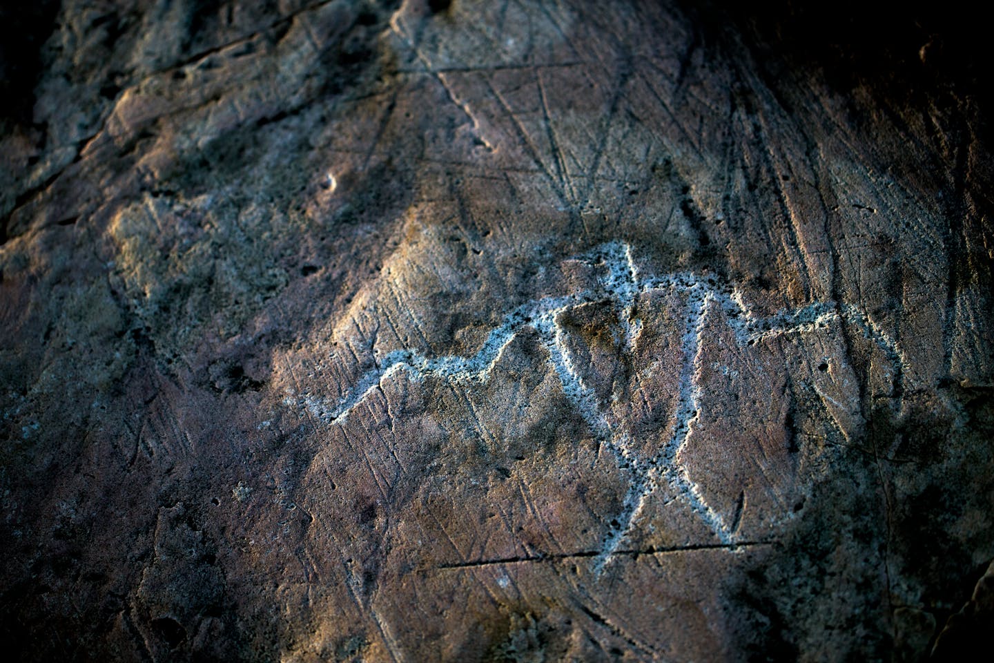 Which Indigenous tribes first called Minnesota home?