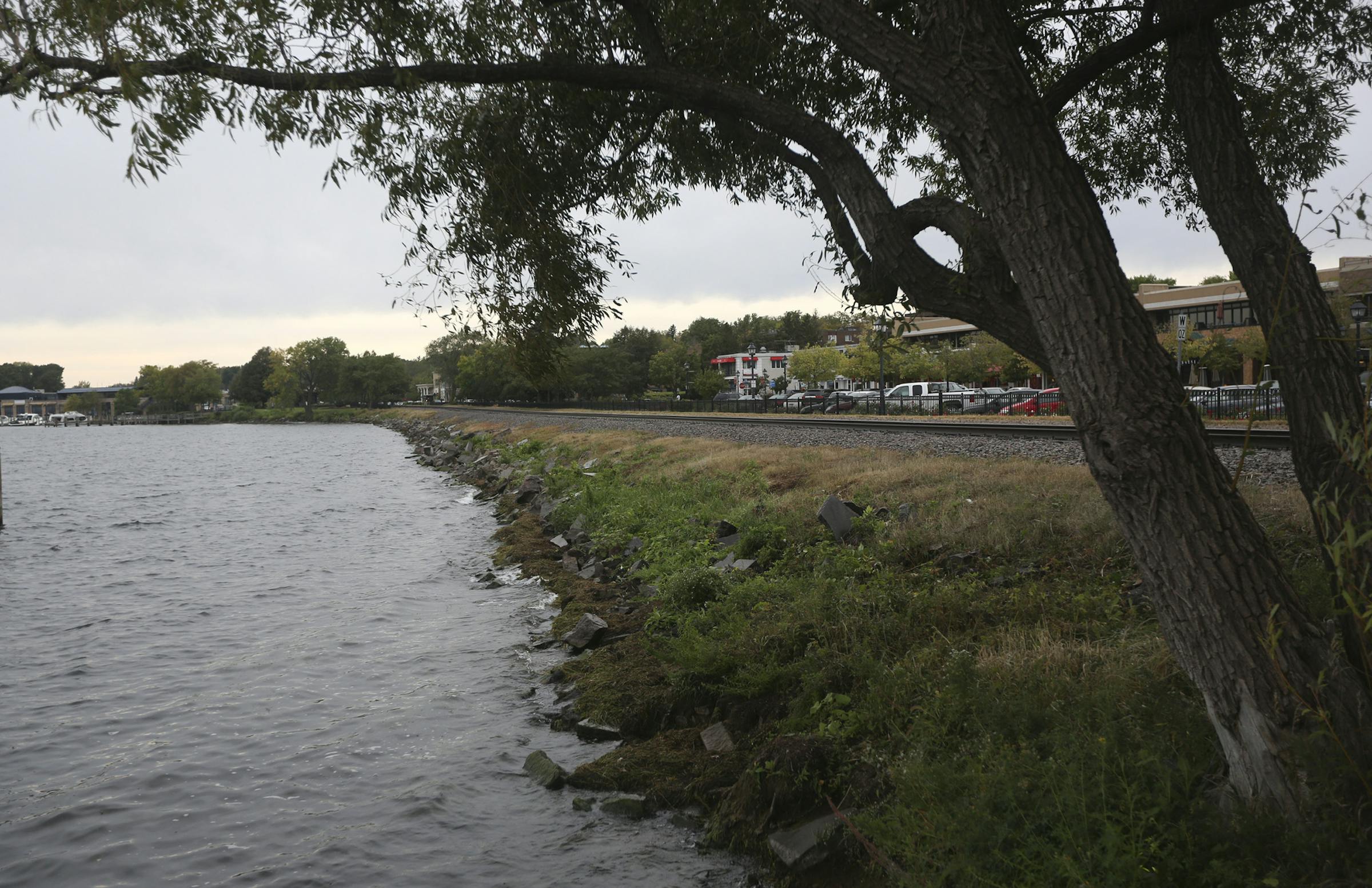 After a year of community input, Wayzata unveils design concepts for ...