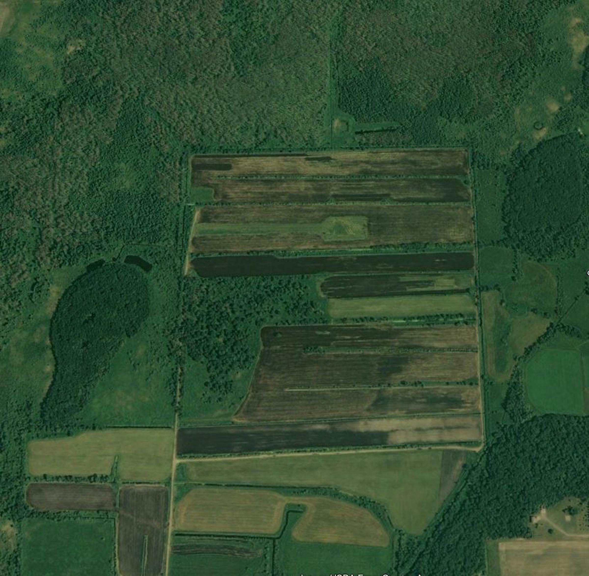 Minnesota's farmed peat soil a greenhouse gas engine