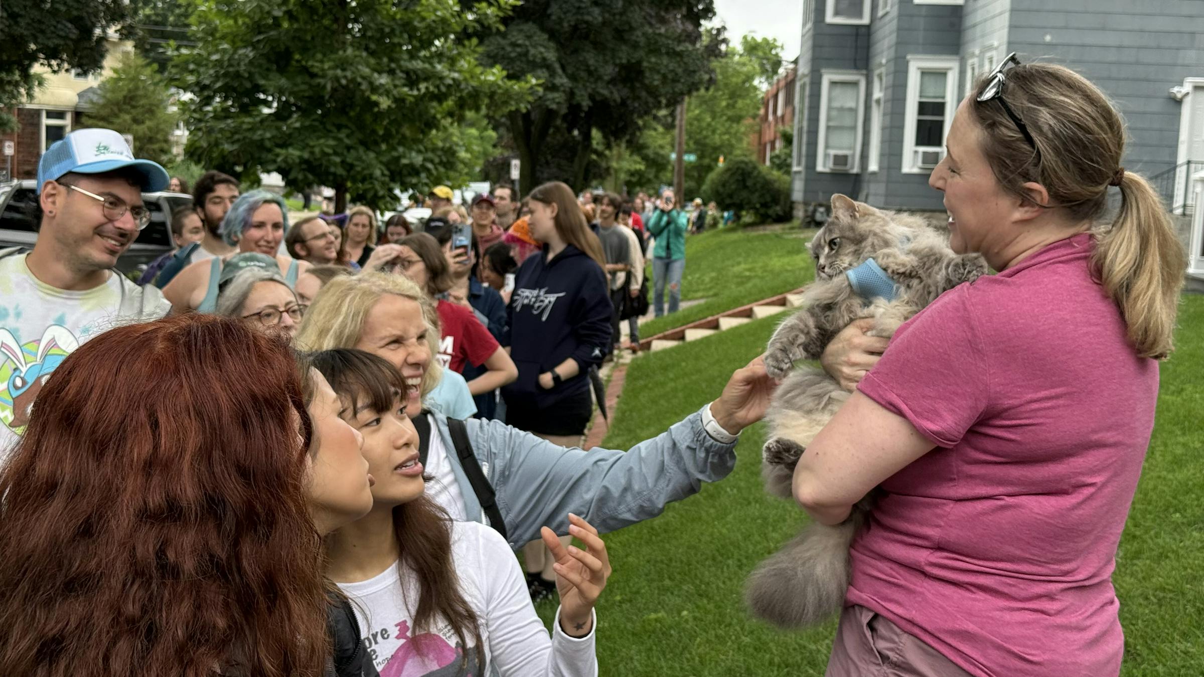 Hundreds show up to cheer on cats at the Wedge Live Cat Tour in Minneapolis