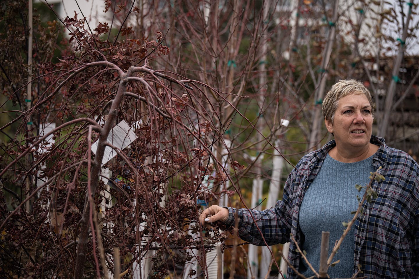 USDA changed hardiness zone map. What it means for Minnesota growers?