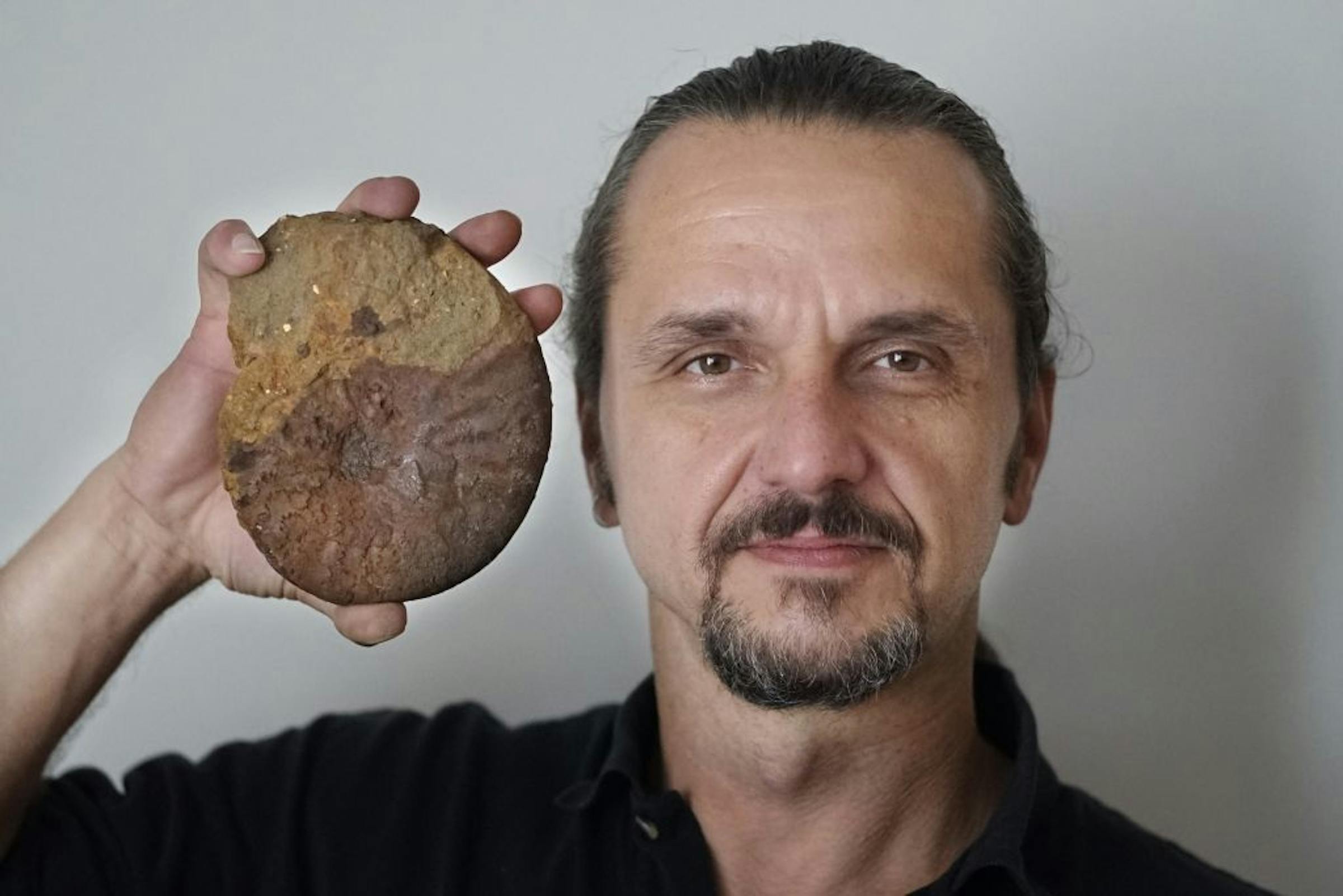 Fossil adds to evidence of dinosaurs in Minnesota