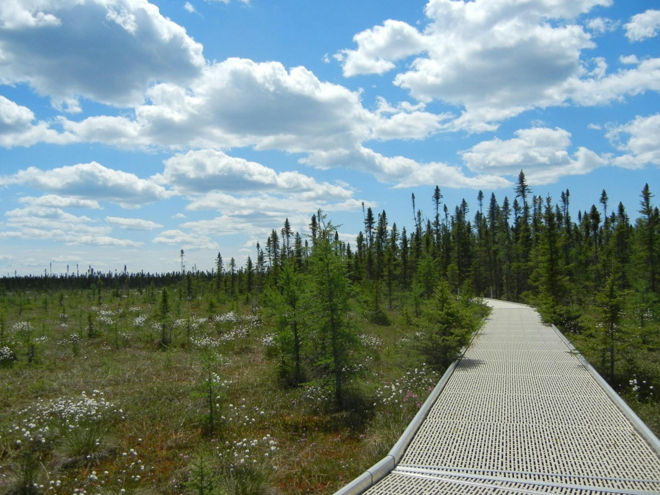 Eight MN hikes for spring adventure