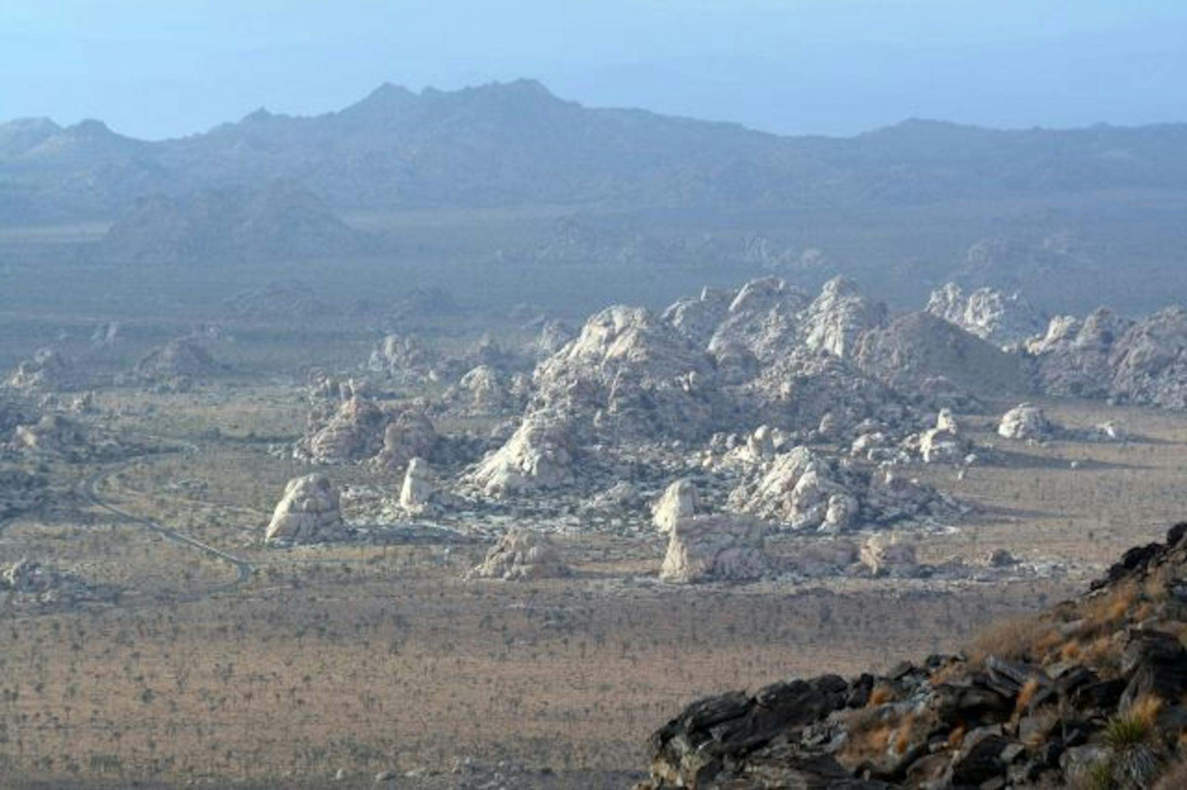 Mojave magic