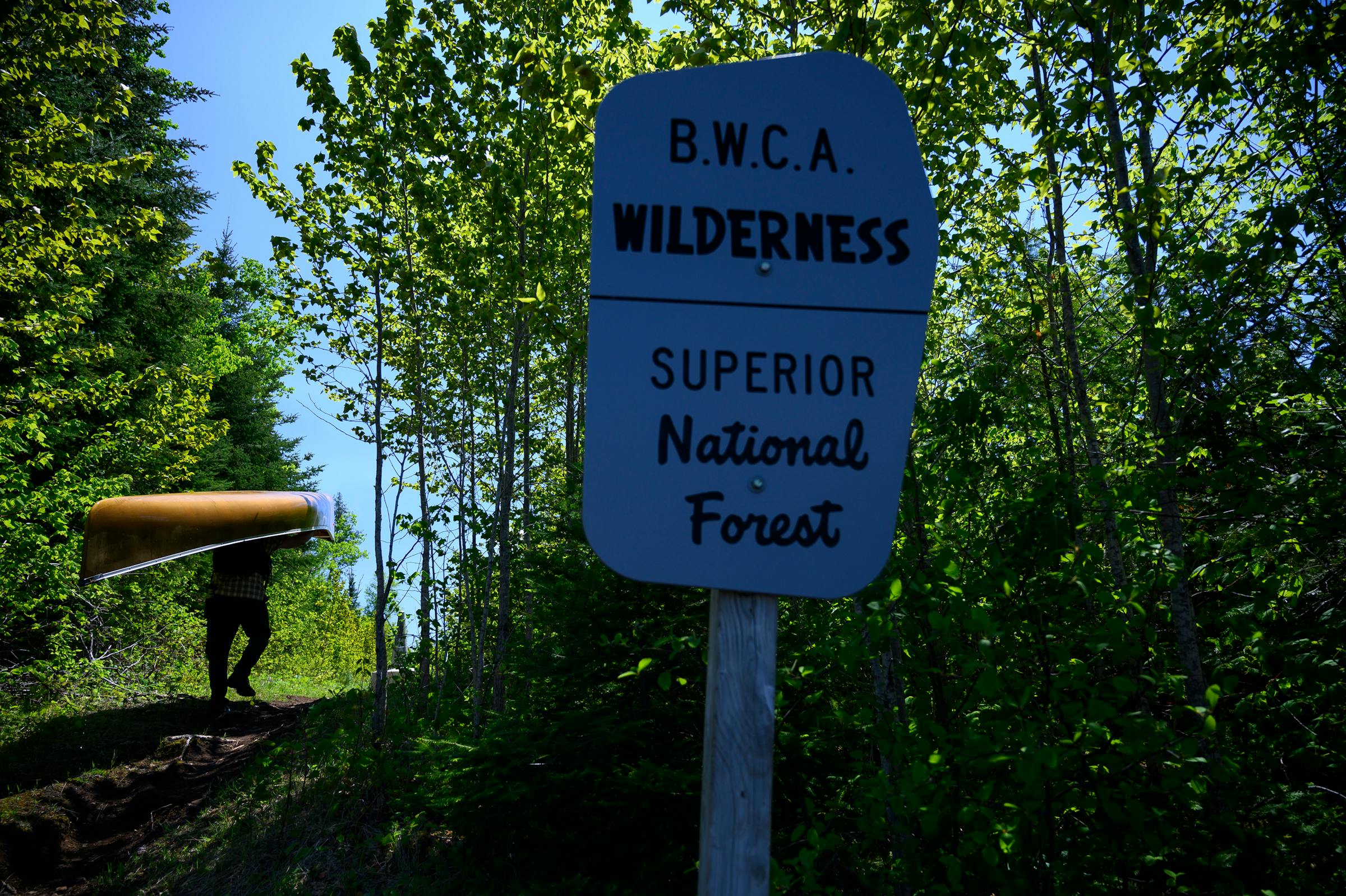 Superior National Forest, northern Minnesota tribes make 'historic ...