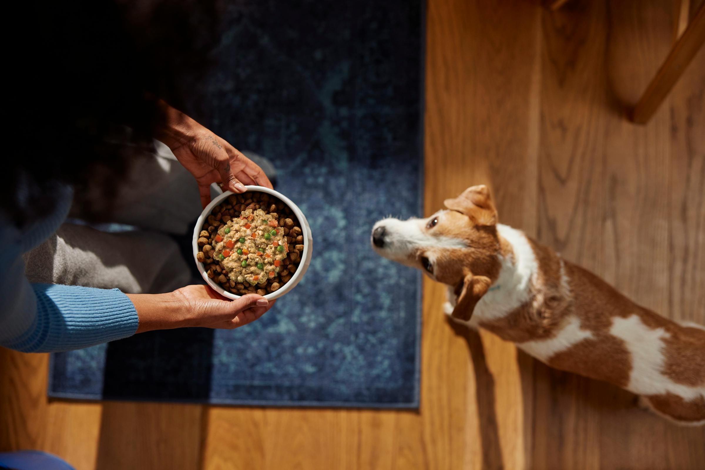 General Mills launching Blue Buffalo fresh pet food nationwide