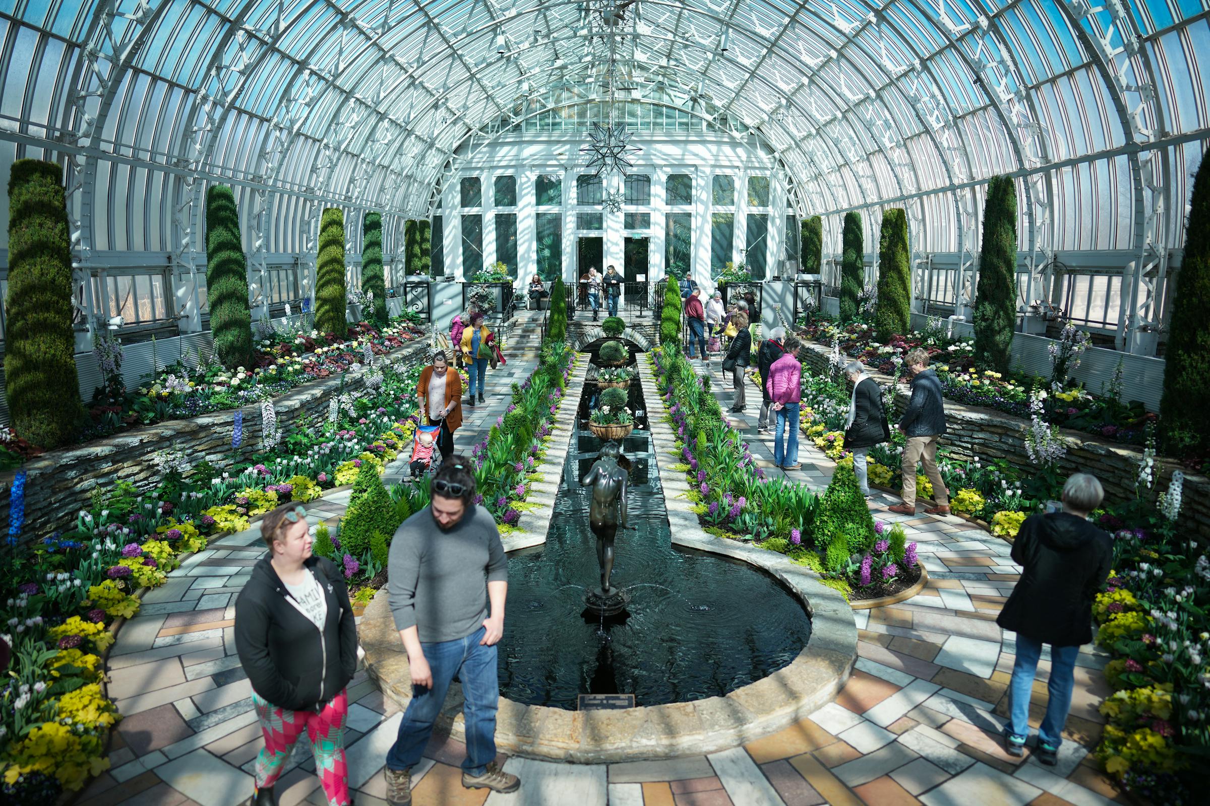 These 3 free flower shows make it feel like spring in Minnesota