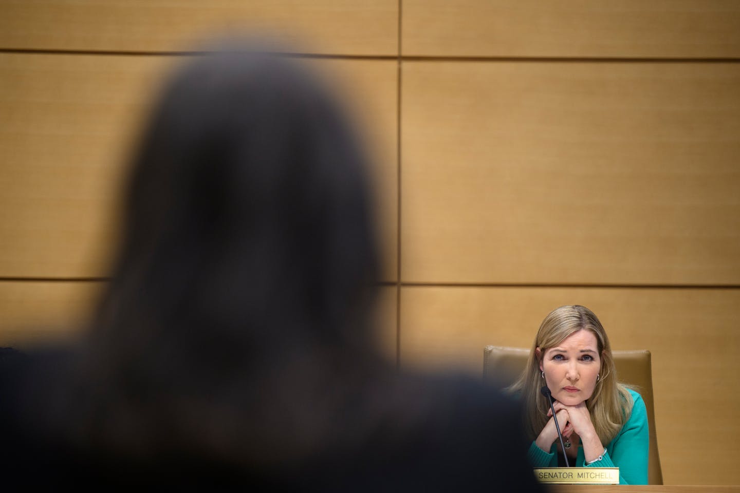 Sen. Nicole Mitchell arrest: What we know so far