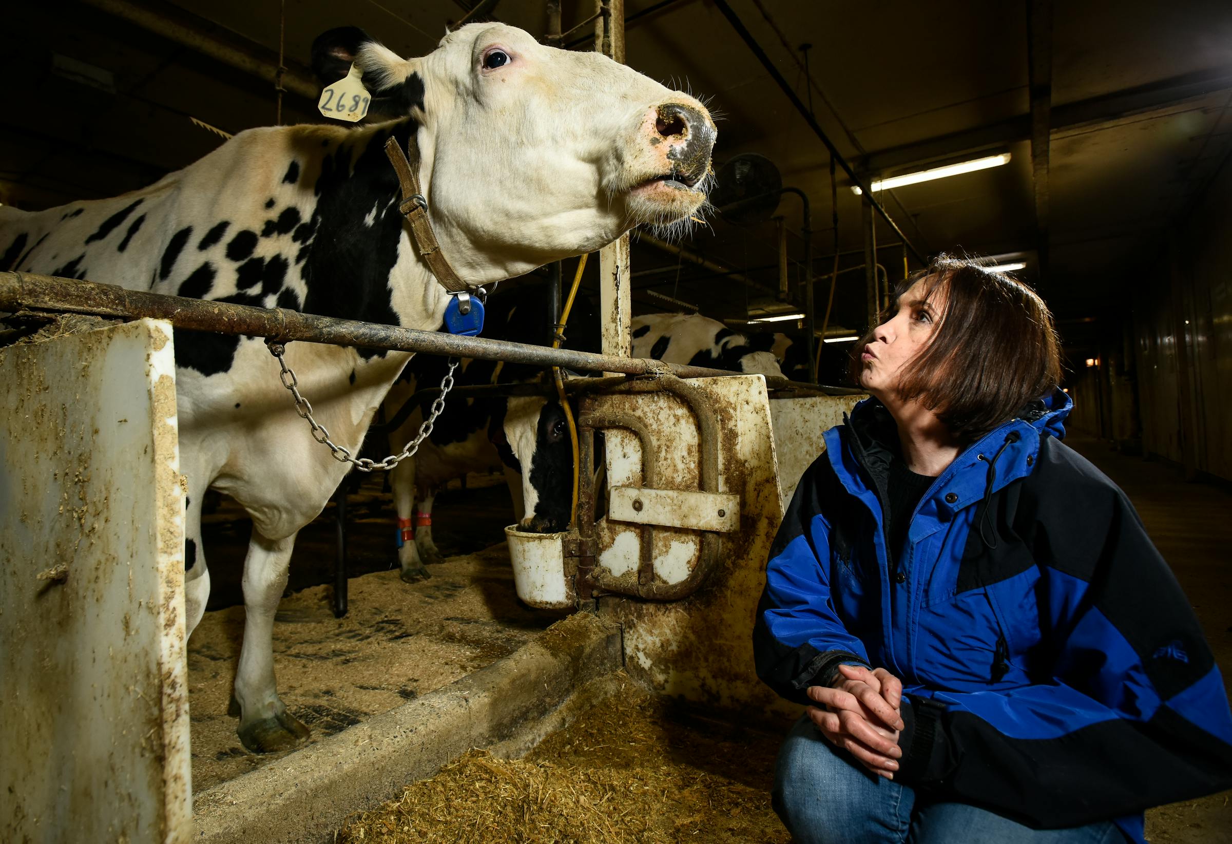 Minnesota had set a price floor for dairy products. A new bill could ...