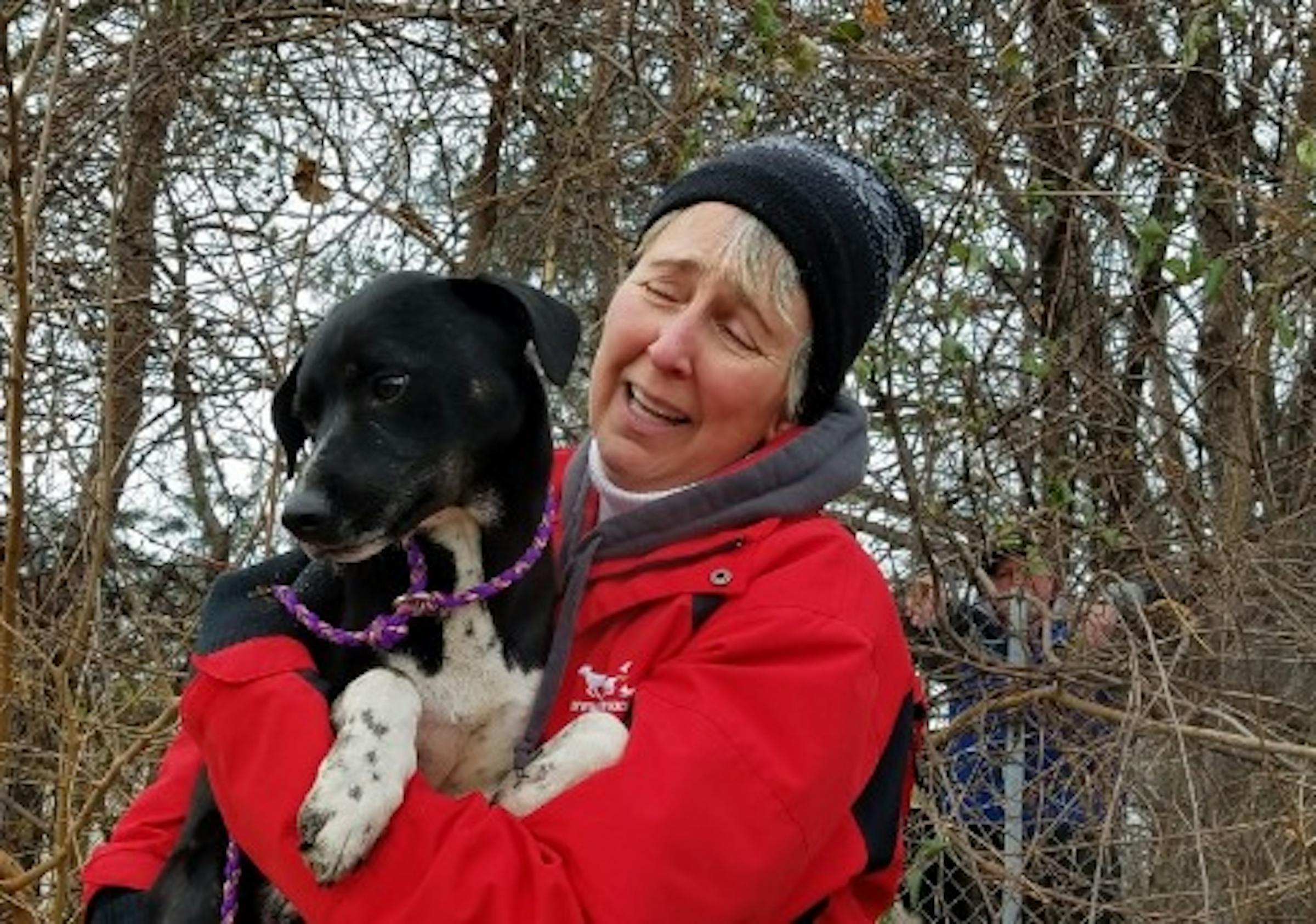 Twin Cities woman's lost-dog tale has a happy ending