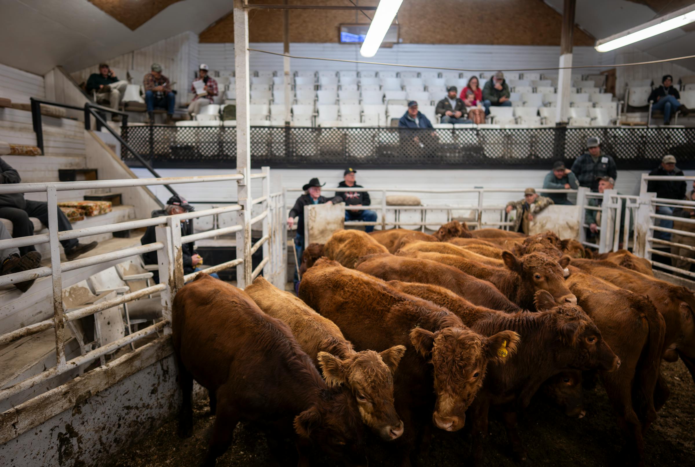 Bipartisan backlash growing on Trump's beef comments